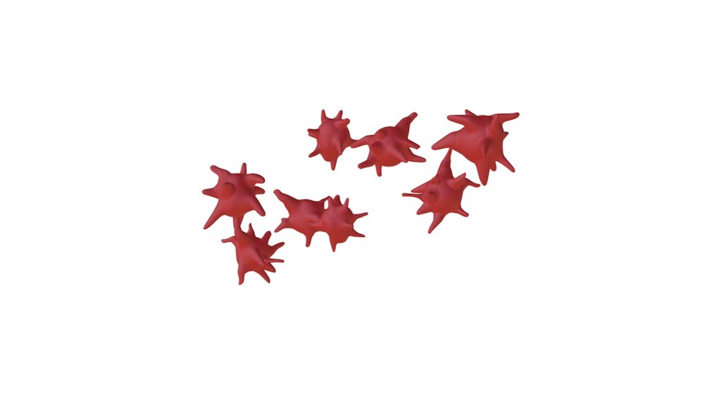 Platelets - 3D model by egon2017 [c63721c] - Sketchfab