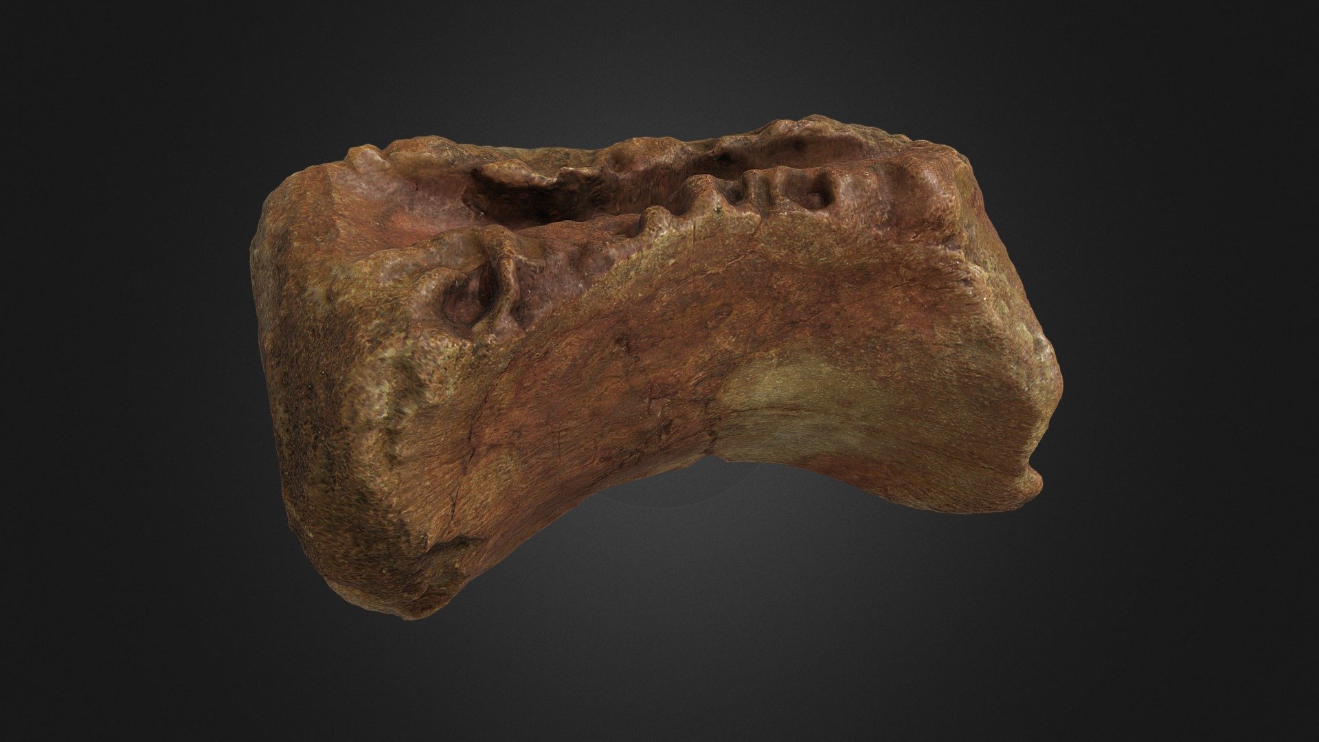 cf. Sigilmassasaurus Vertebra Centrum - Buy Royalty Free 3D model by ...