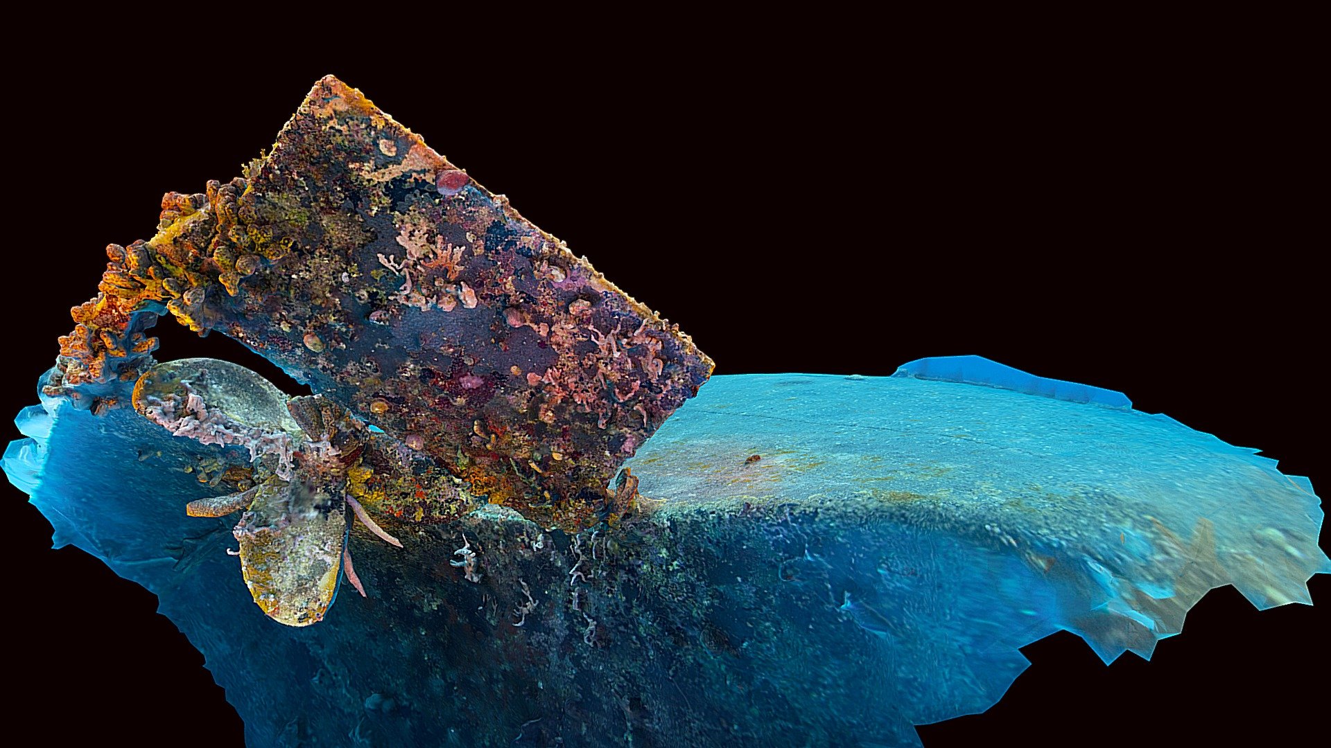 Hilma Hooker Shipwreck Prop - Bonaire - 3D model by BeckyKaganSchott ...