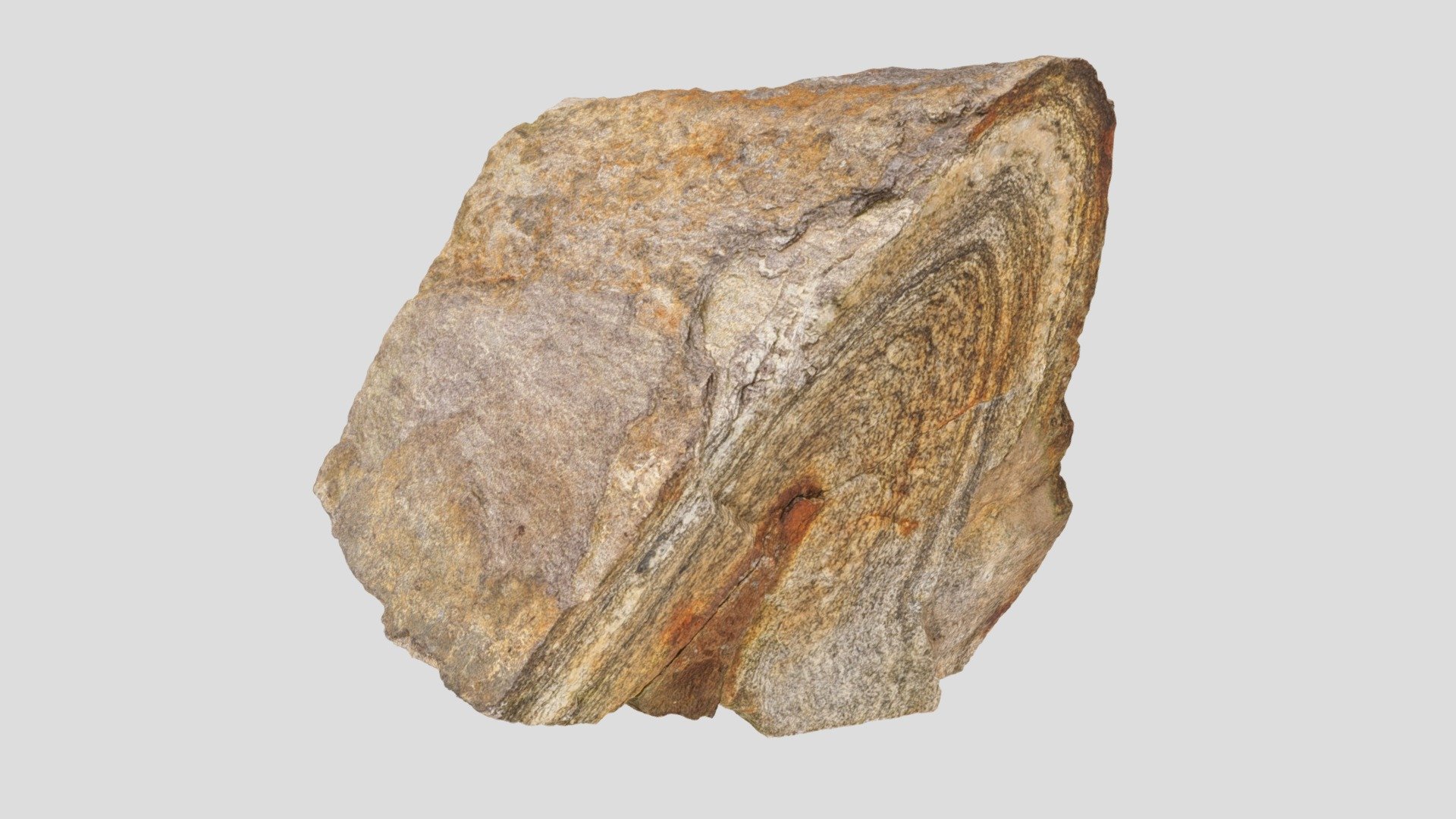 New Jena specimen No 16 - Download Free 3D model by Marko Vrabec ...