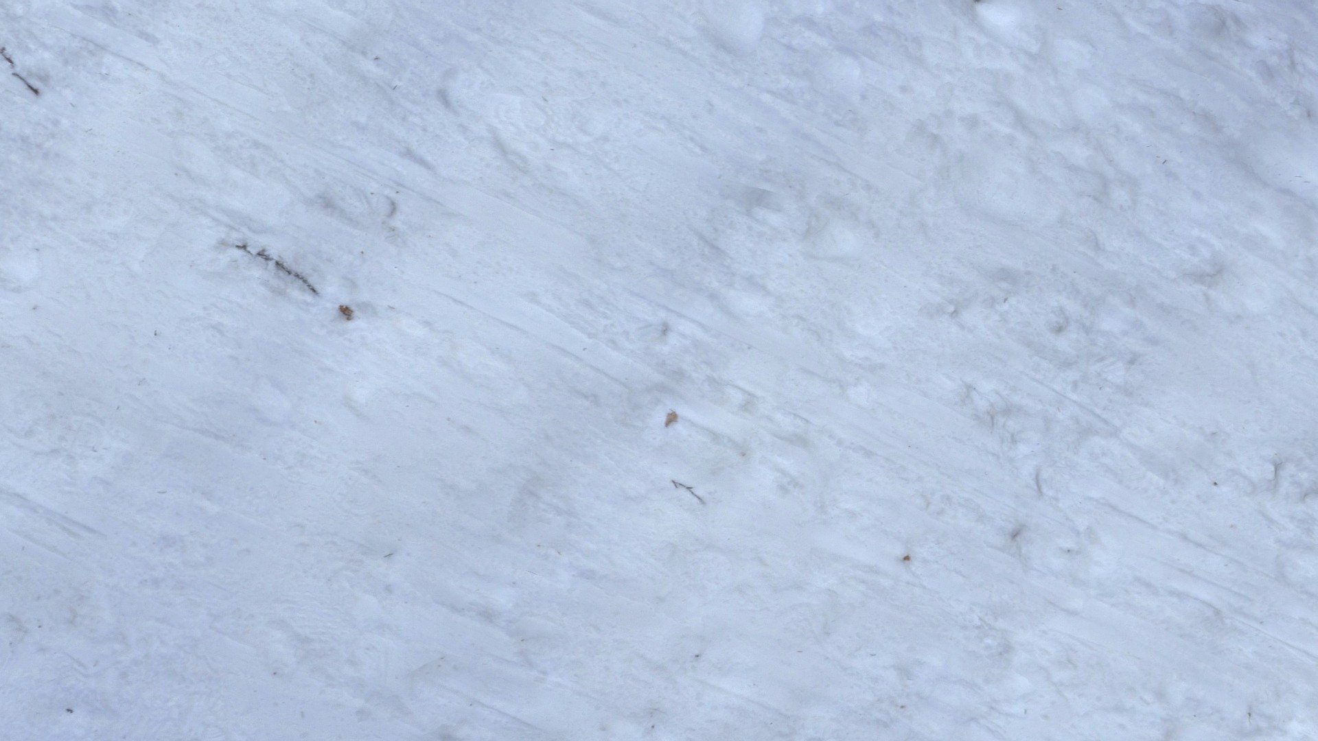 natural ski slope - Buy Royalty Free 3D model by yelizegi ...