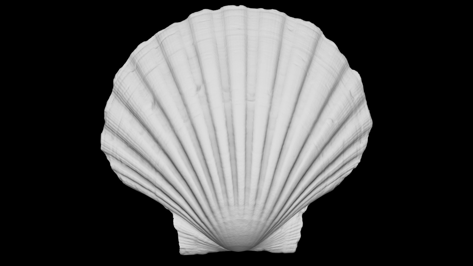 Revopoint Mini - seashell - Download Free 3D model by Benoît Rogez ...