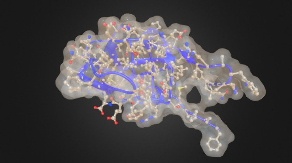 ball stick - 3D model by Interactive 3D Data (@proteinsimulation ...