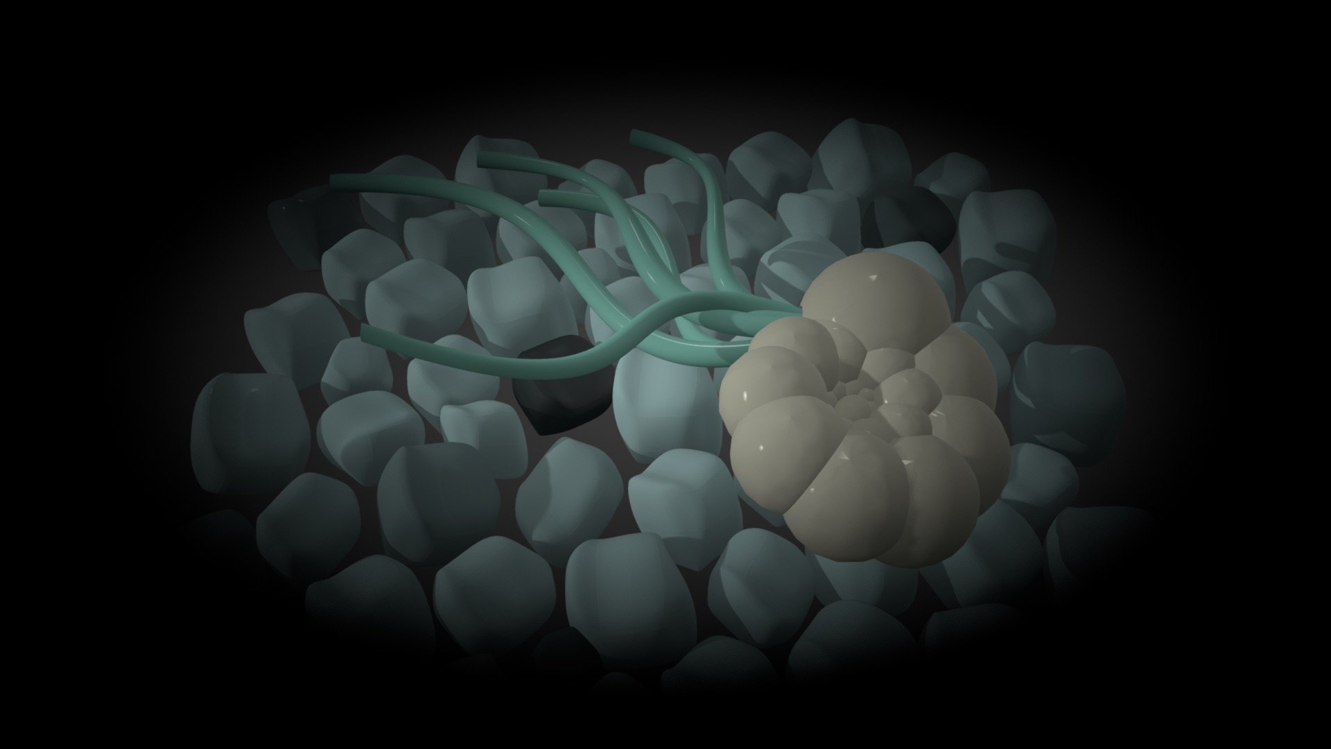 Micro Journey - Download Free 3D model by AVZ (@micropalaeontology ...