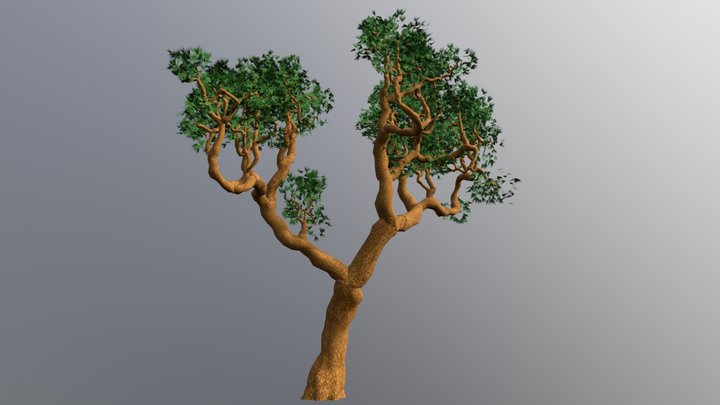 Pine-tree 3D models - Sketchfab