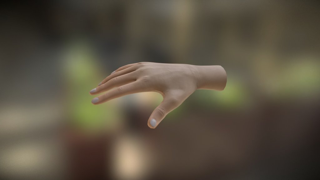 Hand Sculpted - 3D model by Lars_G [c663e7d] - Sketchfab