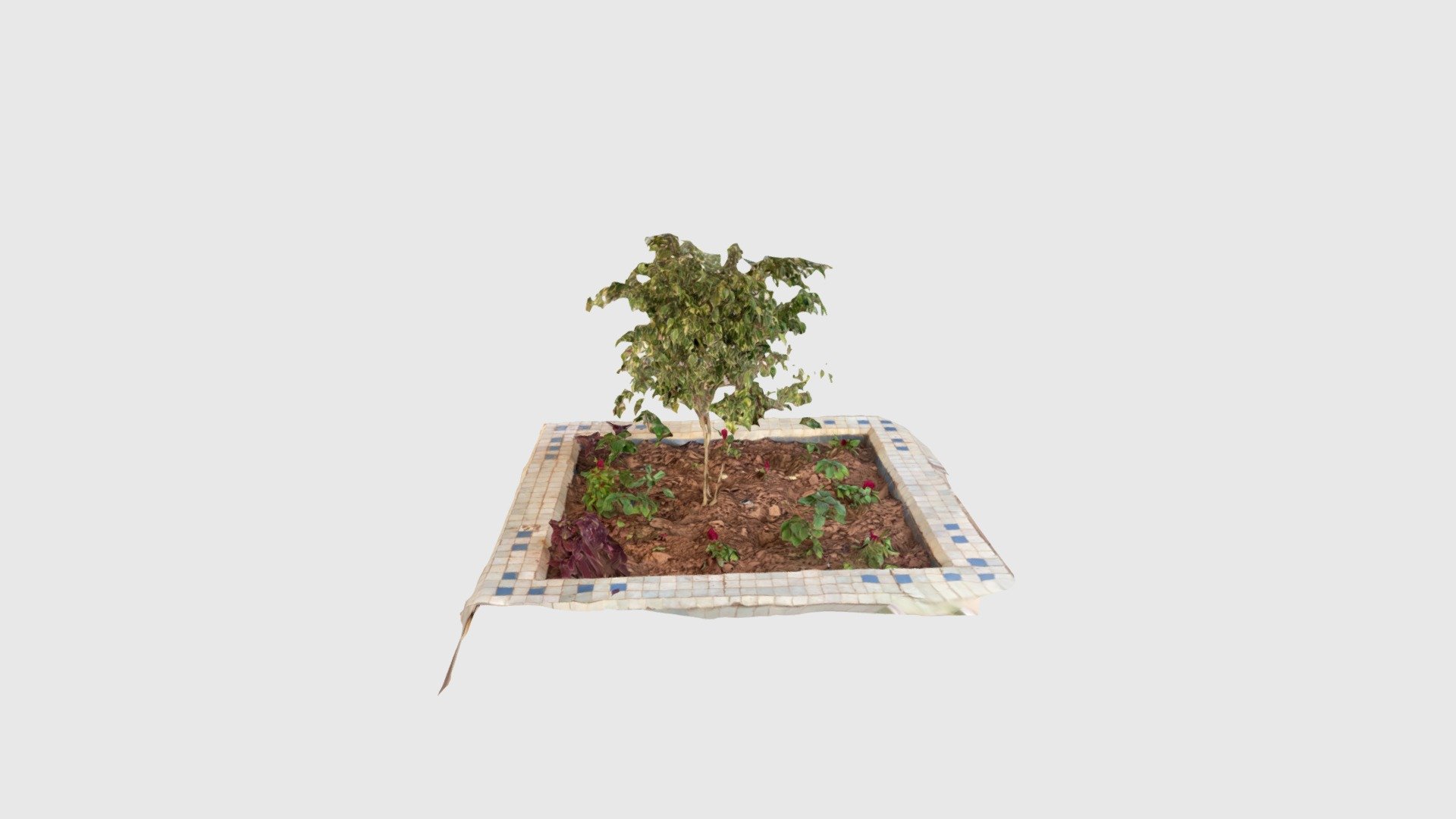 Beautiful planting flowers - Download Free 3D model by afrixr2022 ...