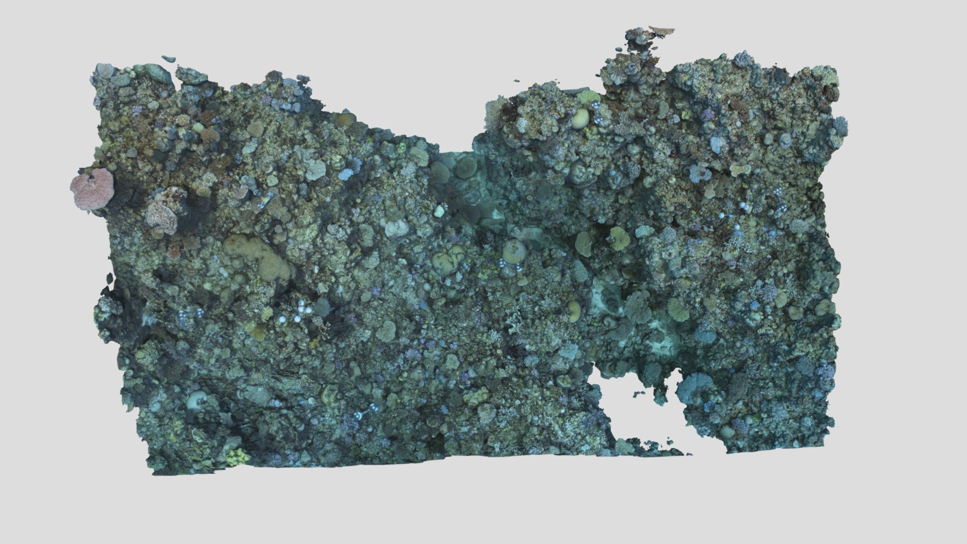 Davies_FL1S_P2_202201 - 3D model by EcoRRAP (@AIMSEcoRRAP) [c66e1eb ...