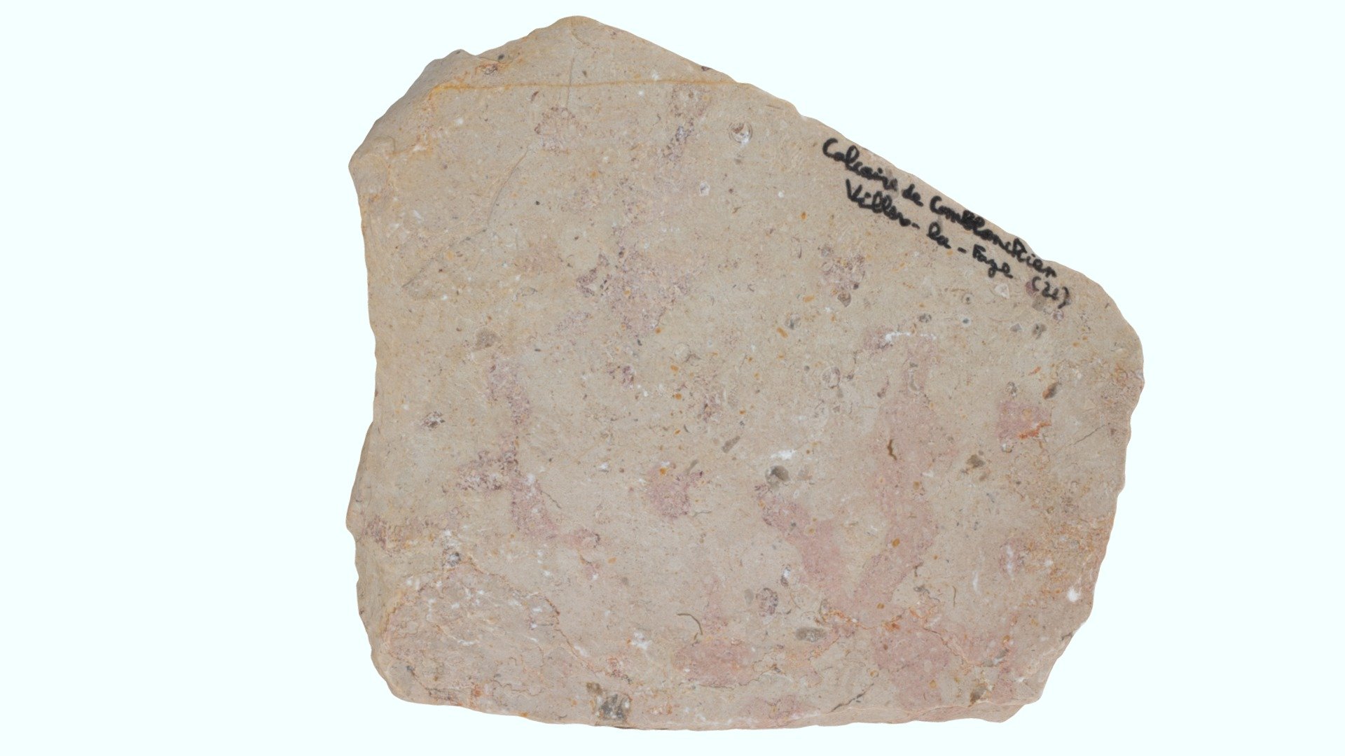 Calcaire de Comblanchien - Download Free 3D model by Ecole Nationale ...
