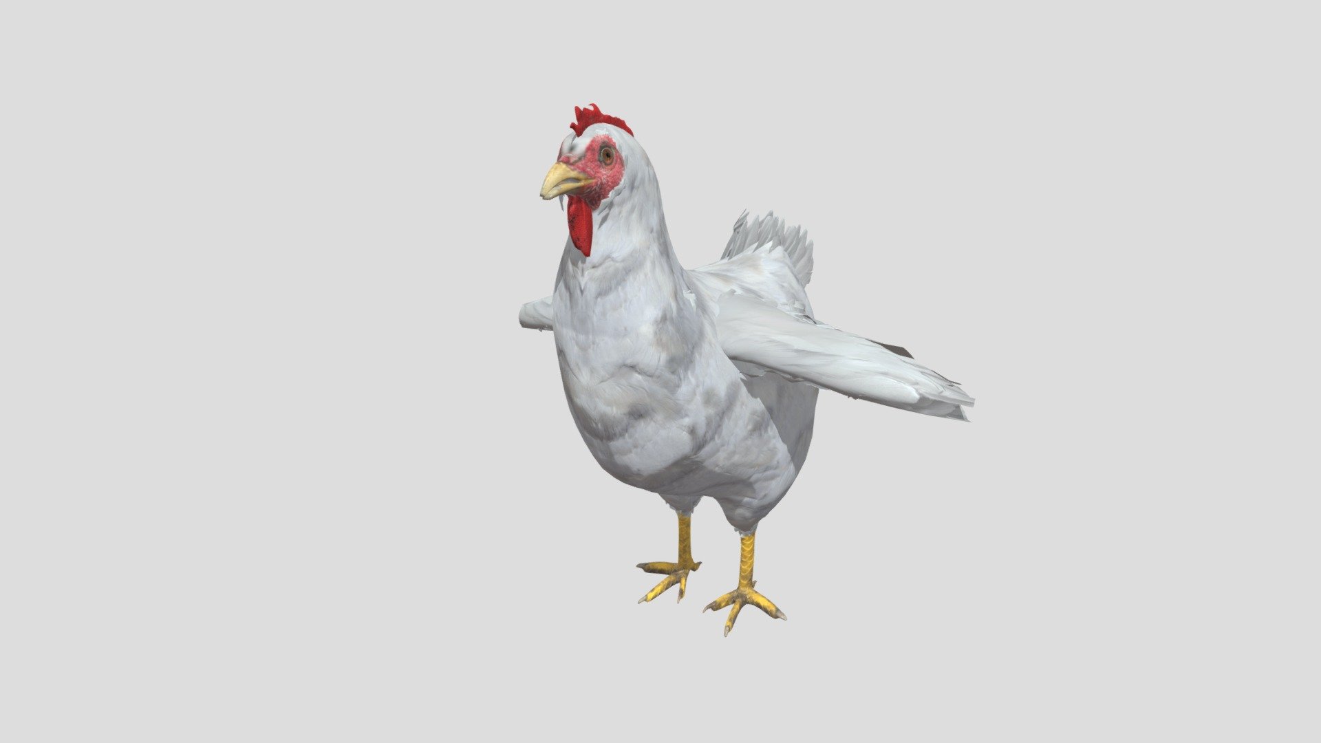 Hen - 3D model by Agnieszka_23 [c672632] - Sketchfab