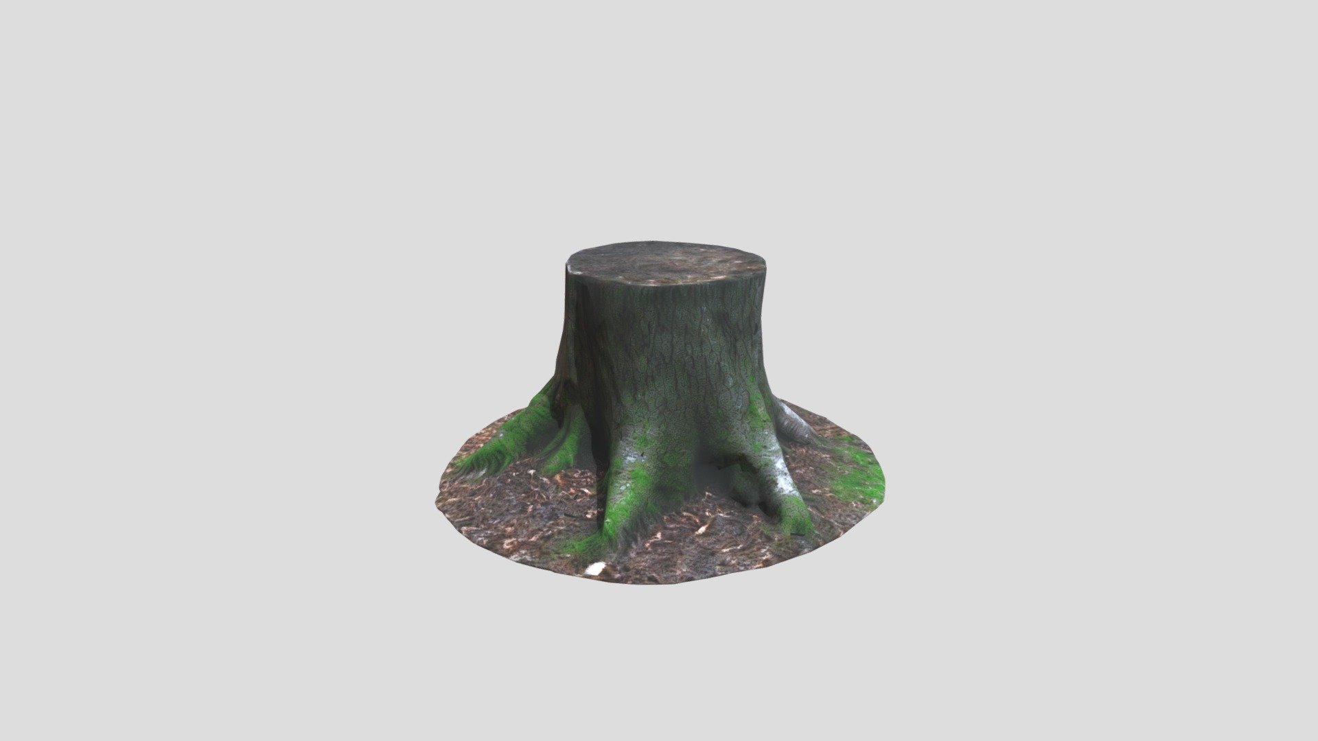 Tree Stump L - Download Free 3D model by stefanorivera [c68da4d ...
