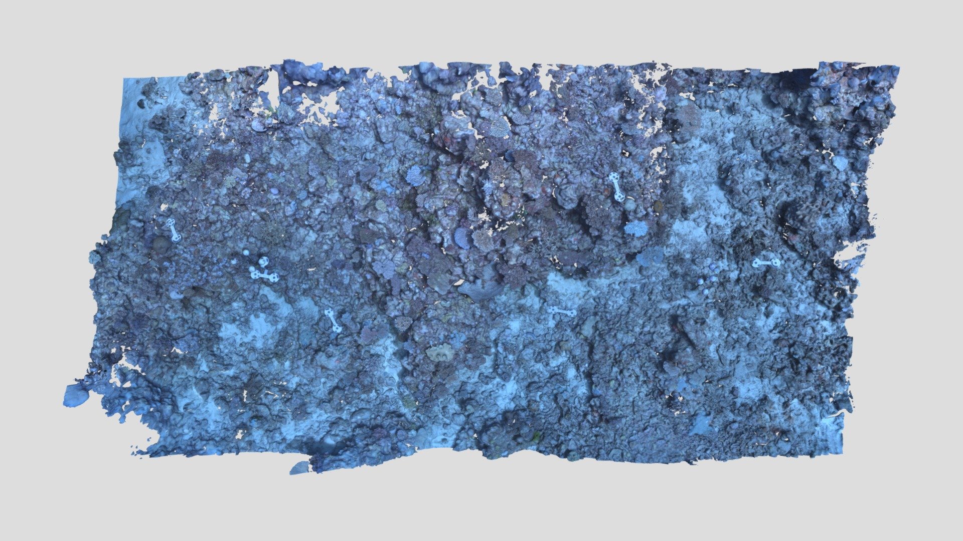 Davies_FR2D_P2_202101 - 3D model by EcoRRAP (@AIMSEcoRRAP) [c68f1dc ...