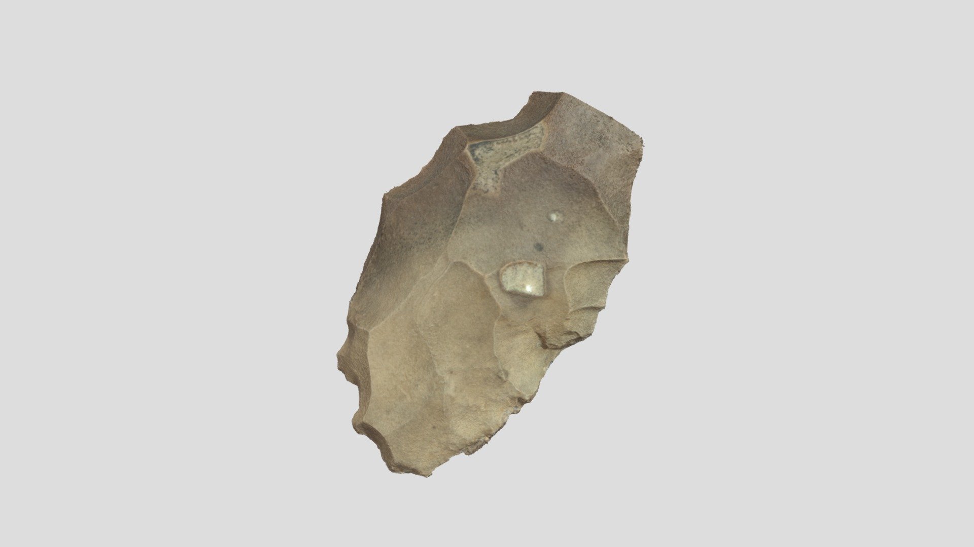 Flint - 3D model by cravenmuseum [c693613] - Sketchfab