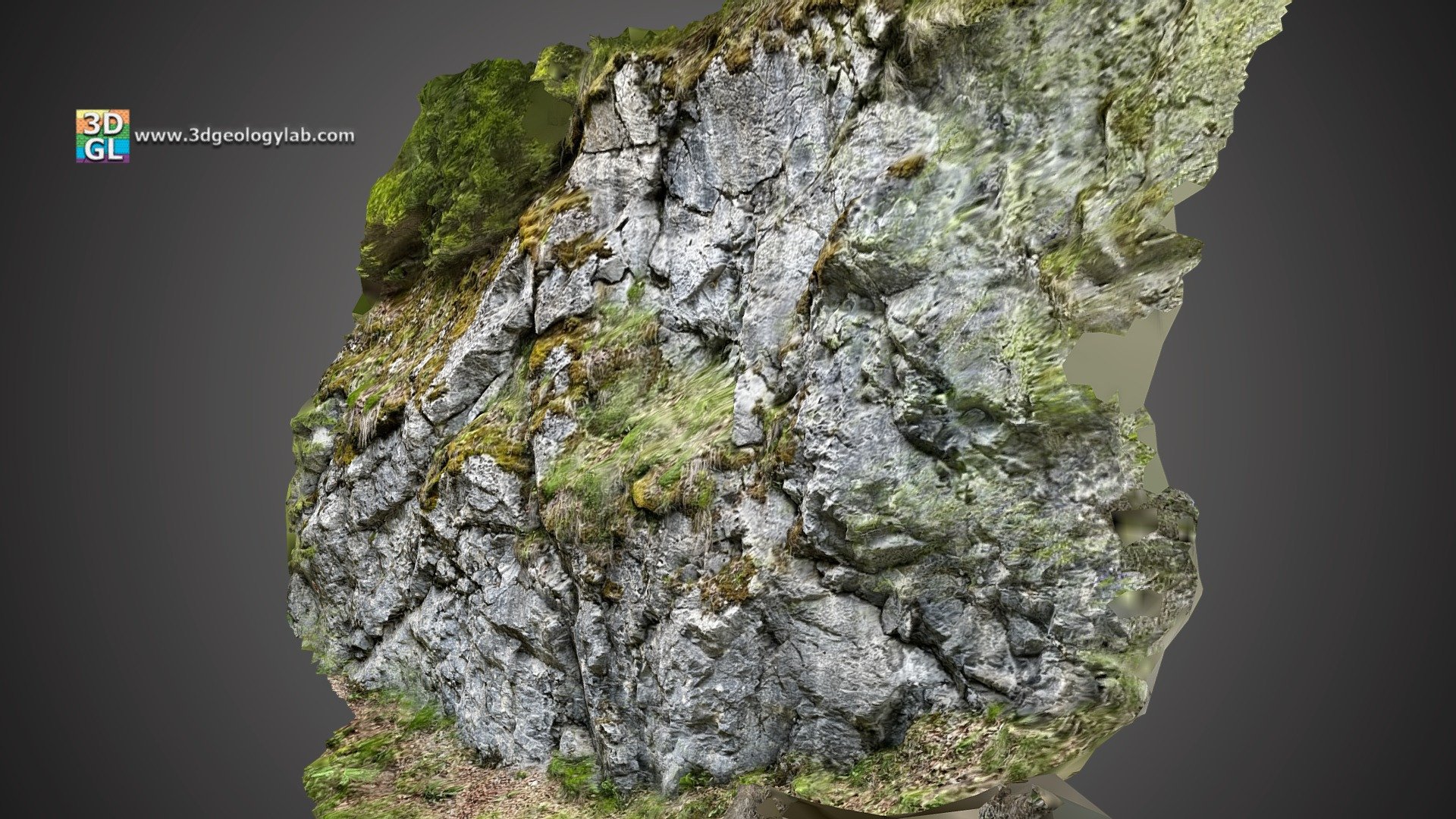 Outcrop (GuIo-1A) - 3D model by 3D Geology Laboratory (@3DGeologyLab ...