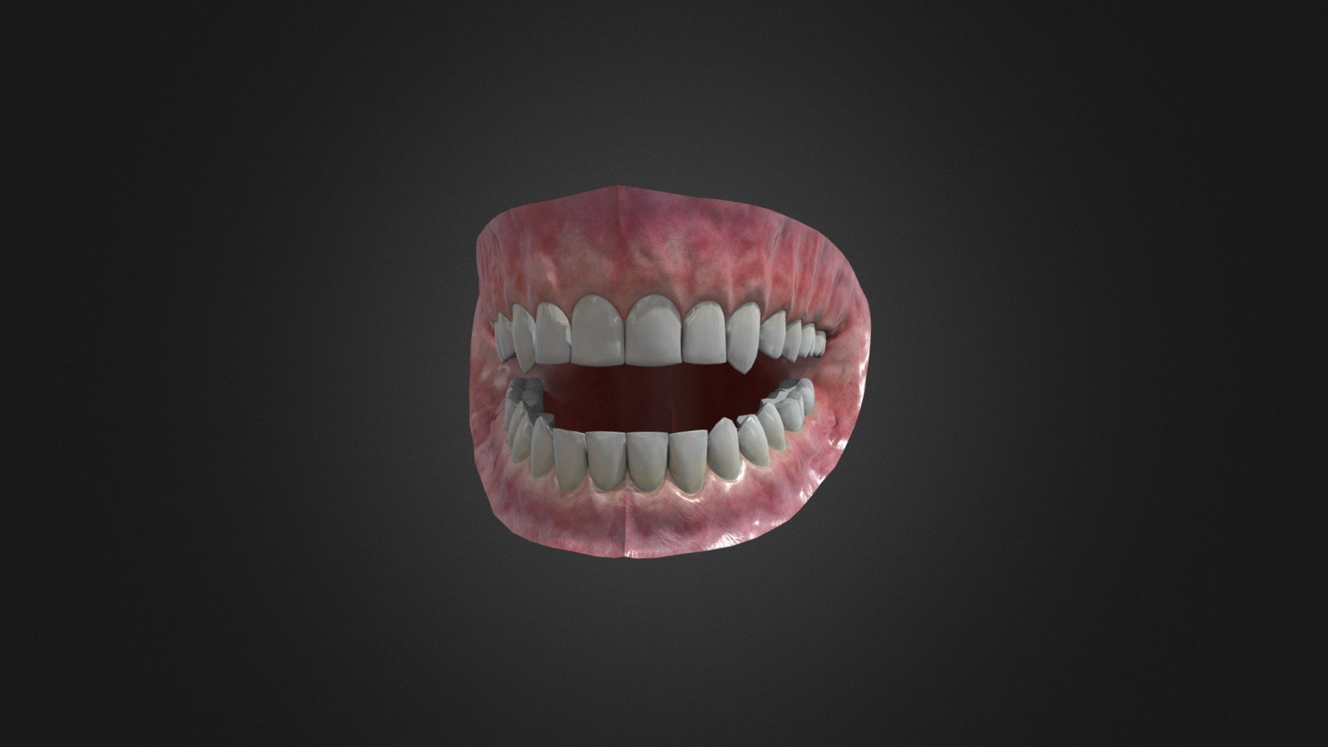 Human Teeth - 3D model by Ouail (@OuailArt) [c6a9553] - Sketchfab