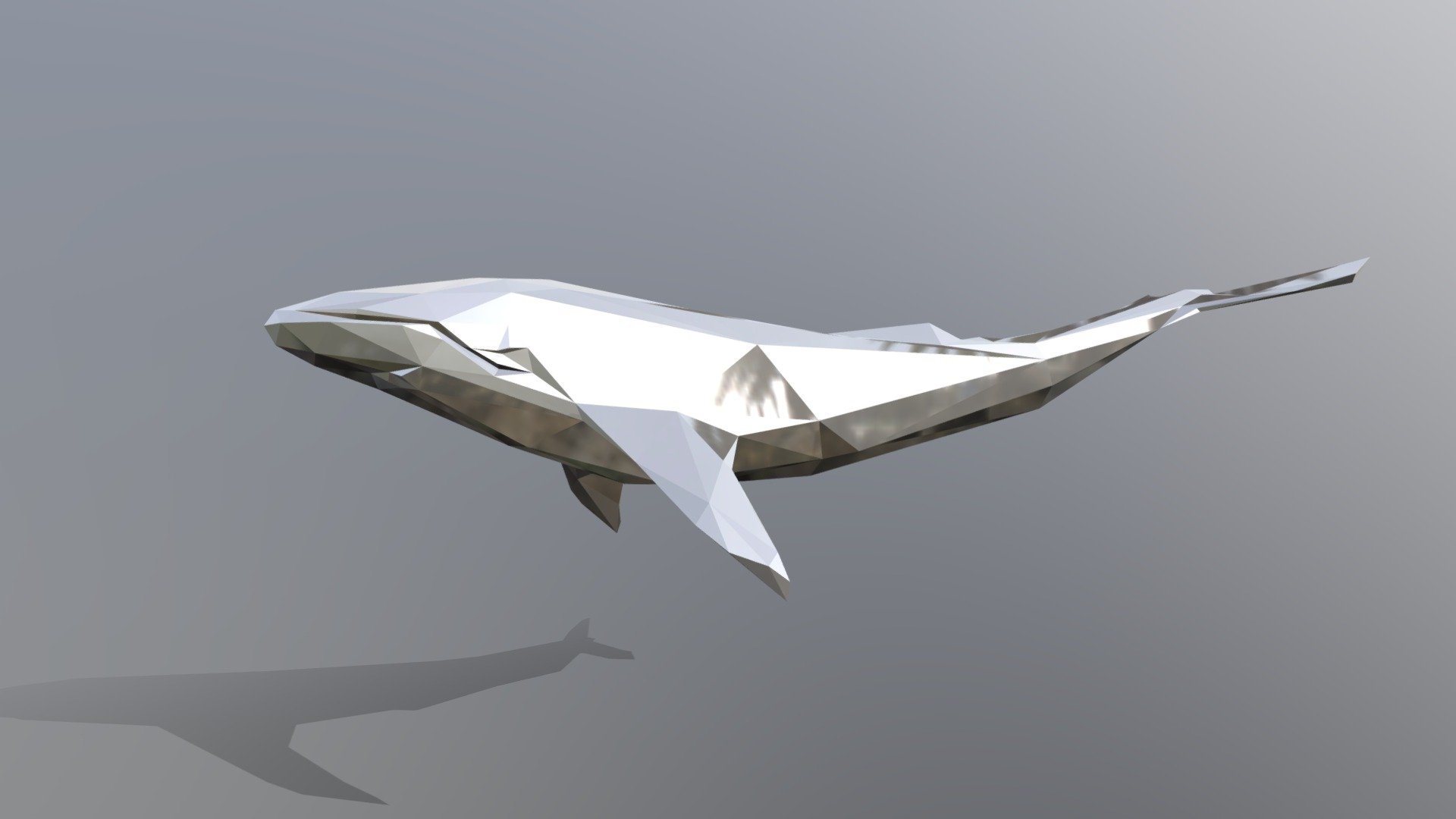whale - 3D model by vasulgudyma [c6accbb] - Sketchfab