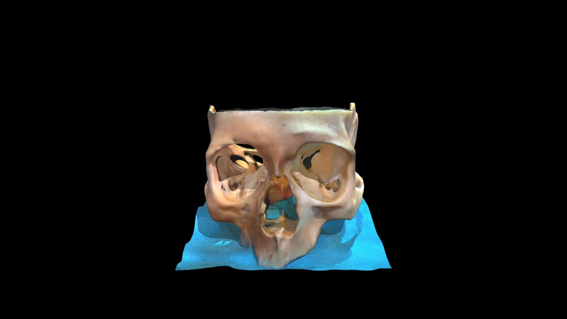TOA Step_3 - 3D model by Anonymous (@anonymus.) [c6adc40] - Sketchfab