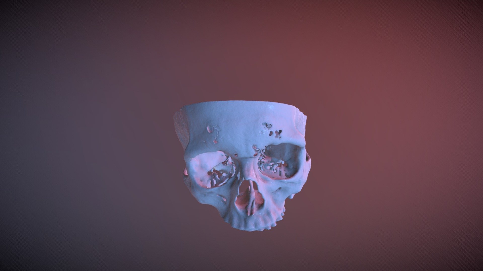 skull base - 3D model by pushpak54 [c6c6803] - Sketchfab