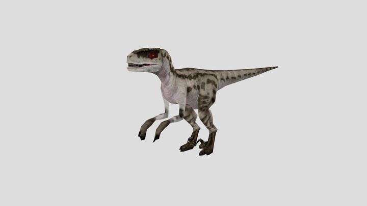 Velociraptor 3D models - Sketchfab
