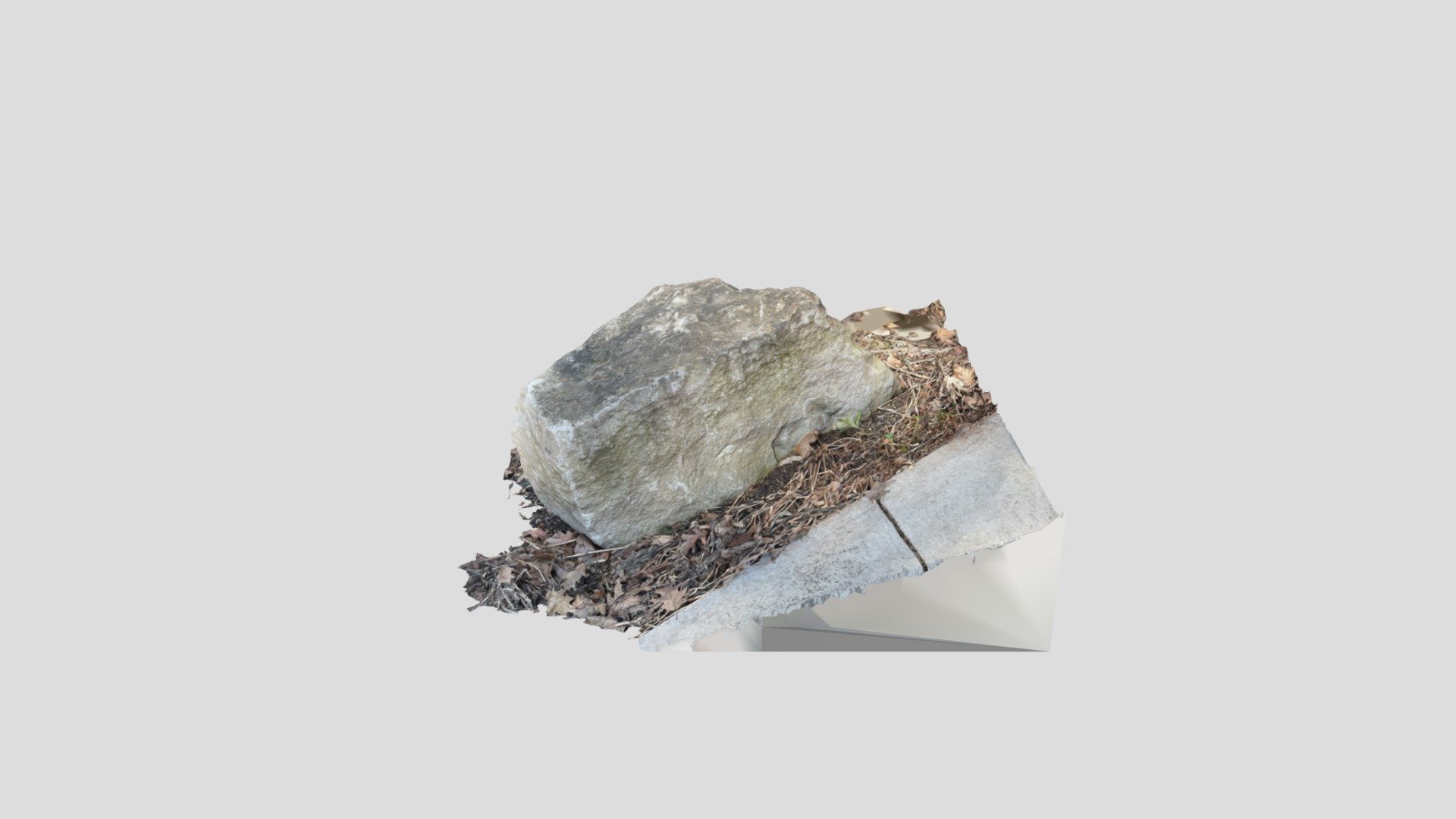 Scan 2023-04-25T14:11:50.969Z - Download Free 3D model by Gord.Harris ...