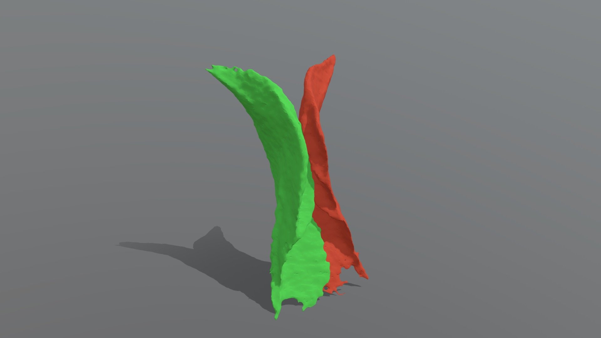 Siphonodella belkai - Download Free 3D model by AVZ ...