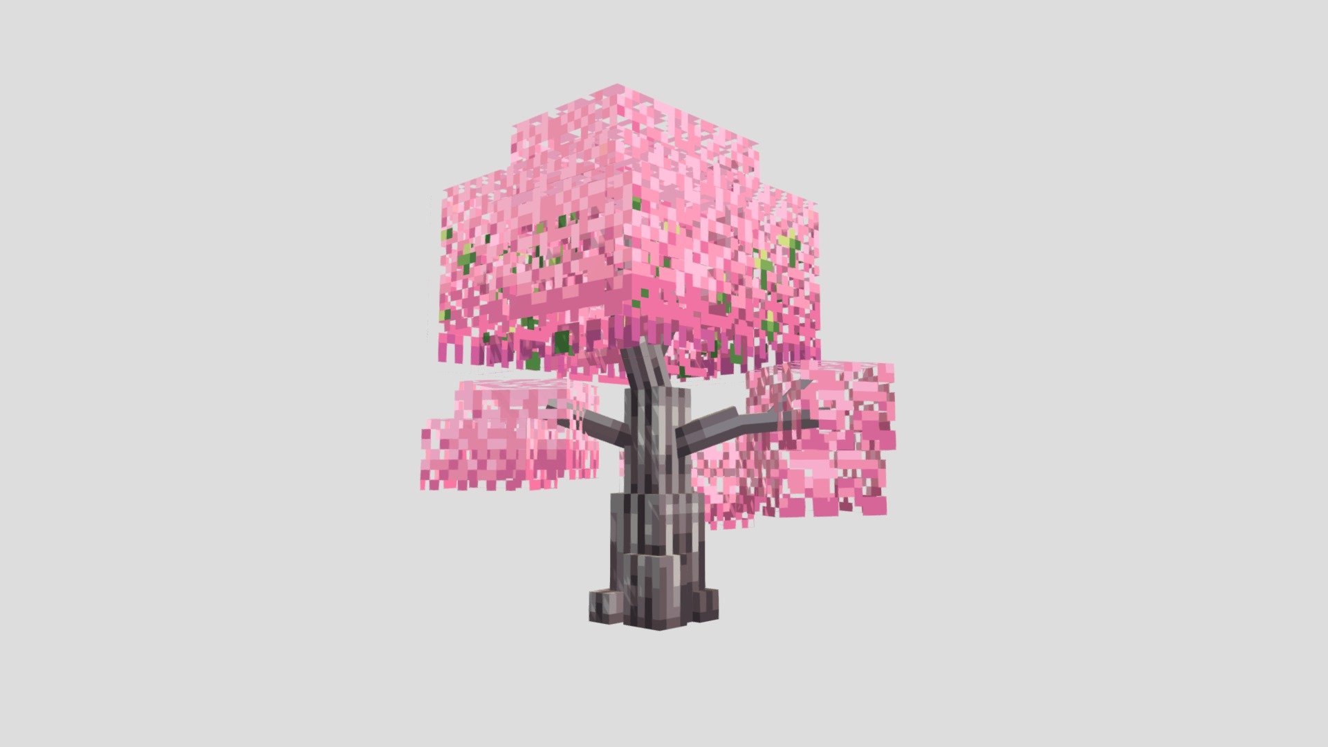 Cherry Tree~ - 3D model by Mark Cao (@addyabernethy9) [c6eed77] - Sketchfab