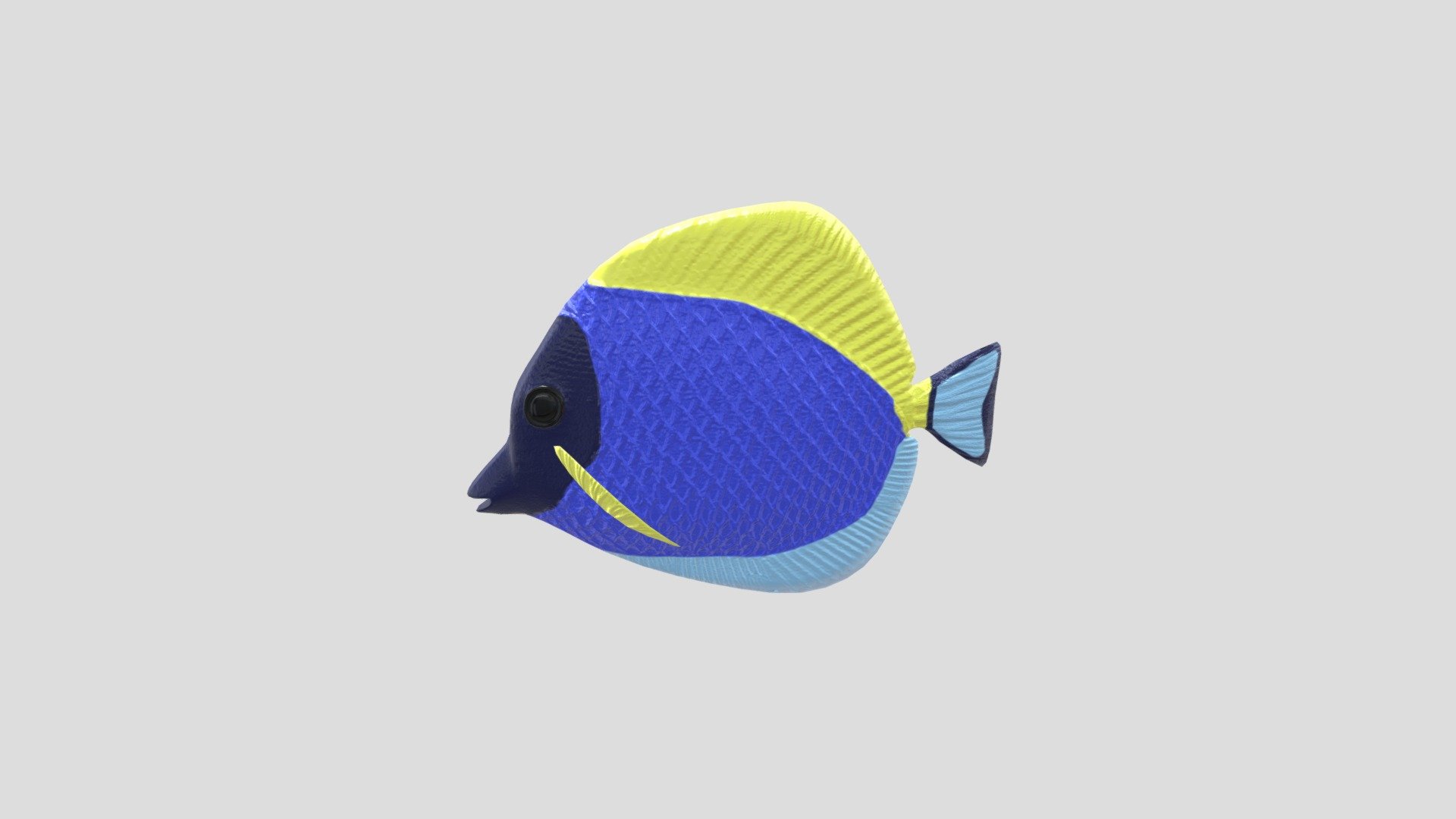 Walsh Fish - 3D model by KayaW [c6efb1f] - Sketchfab