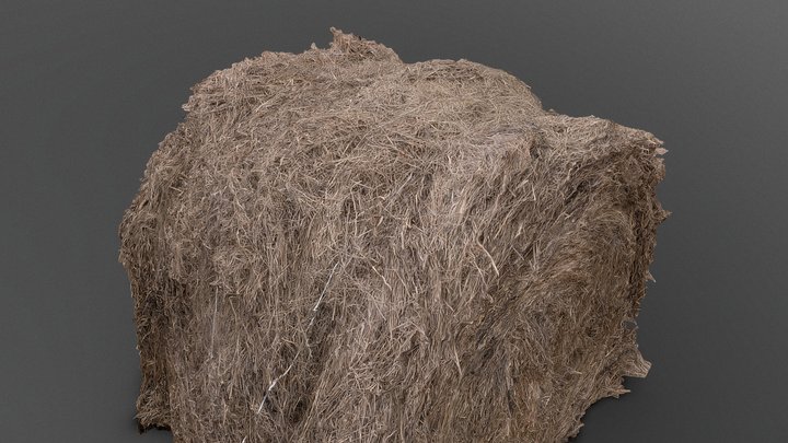 Straw 3D models - Sketchfab
