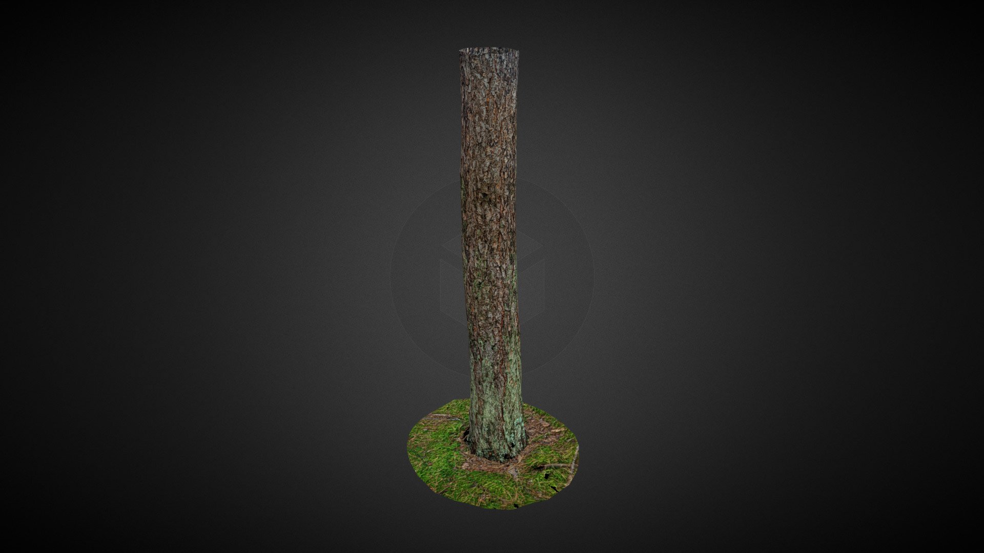 Pine trunk - low poly - Download Free 3D model by Zygomir.Fabricati ...