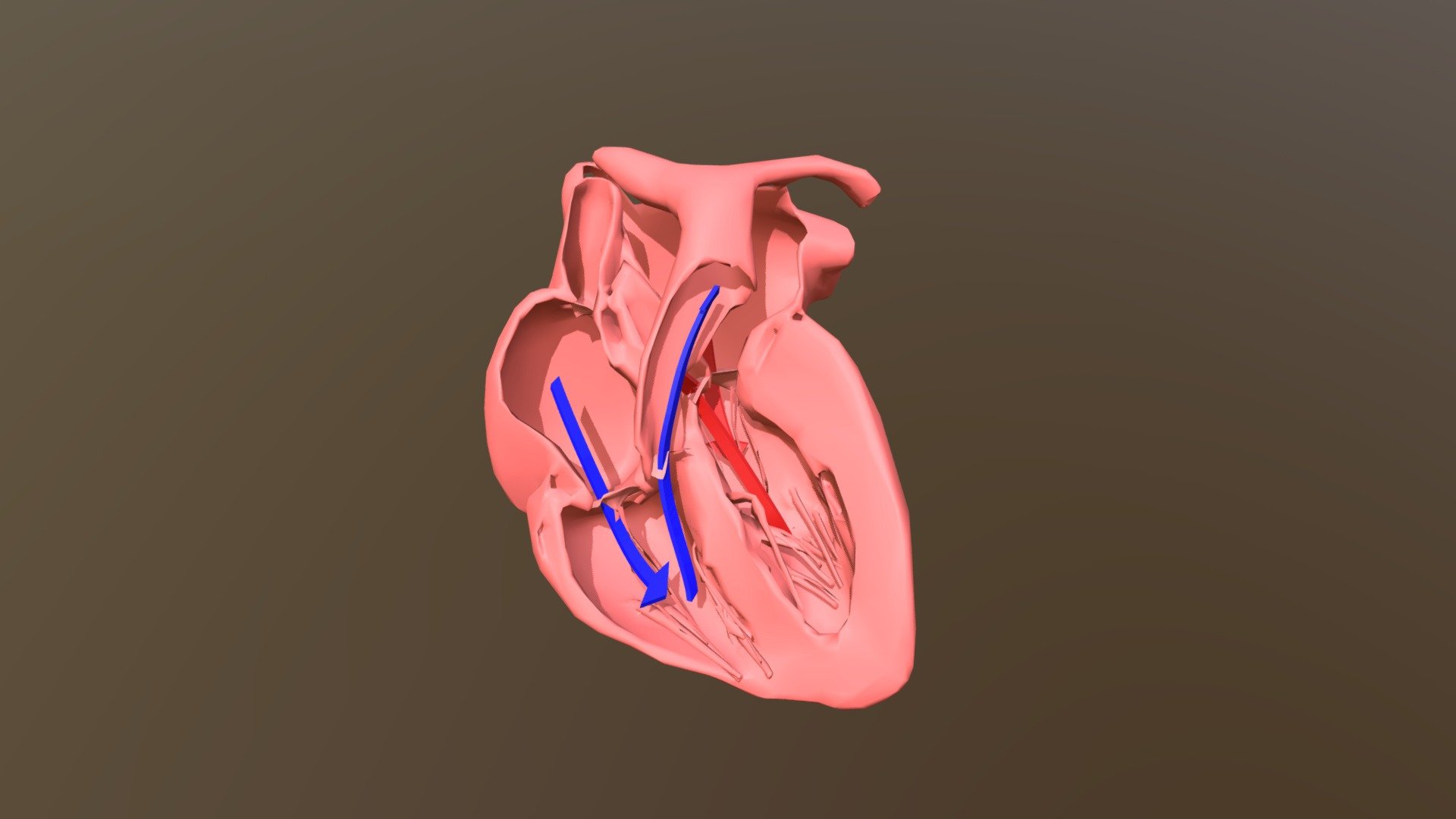 Heart v10 02 - 3D model by fxmdeveloper [c7003a8] - Sketchfab