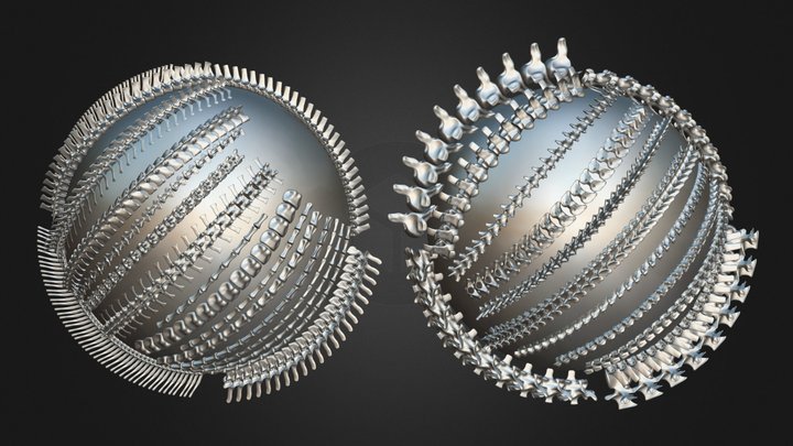 Backbone 3D models - Sketchfab