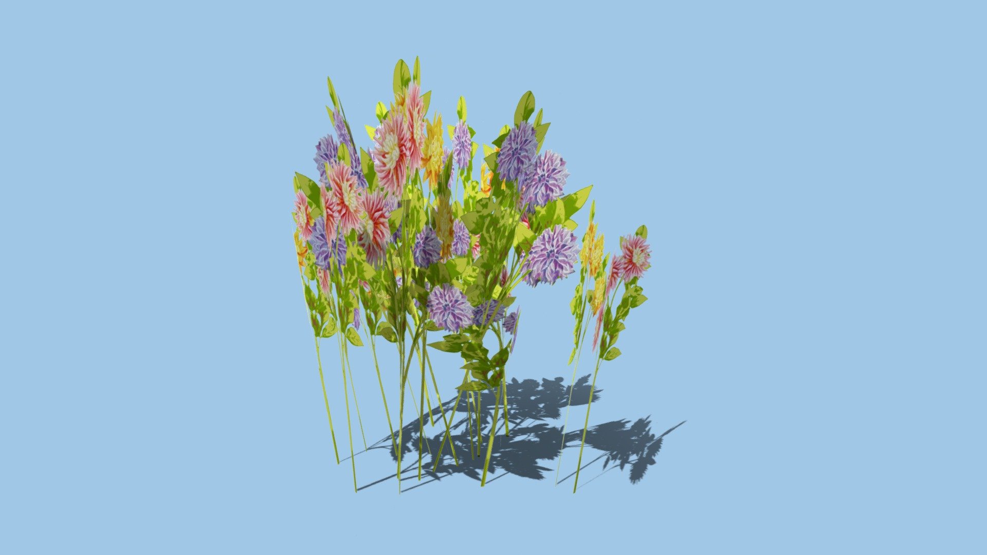 10 Dahlia - Download Free 3D model by cailenlp [c712aa8] - Sketchfab