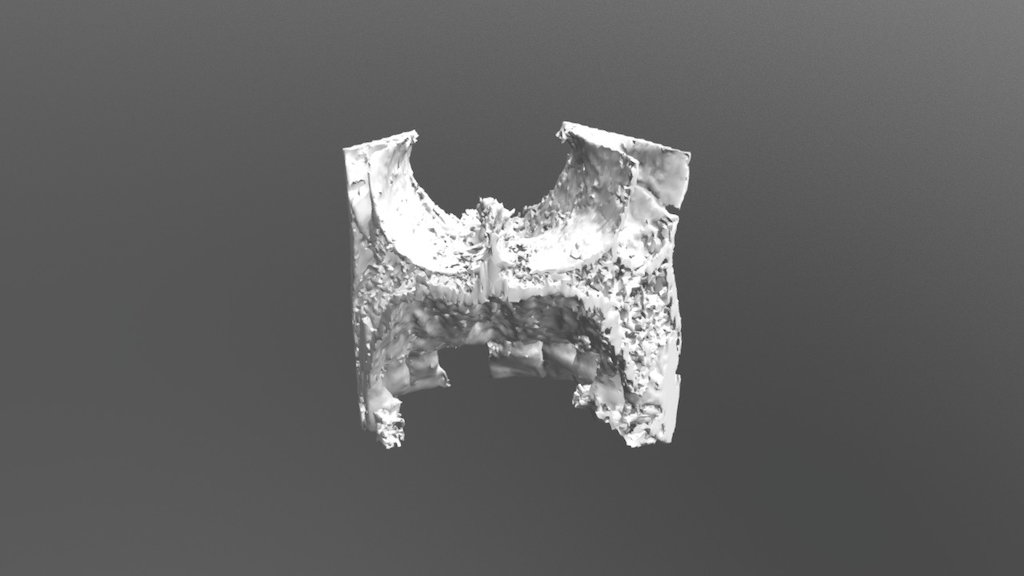 CT Stack 2 - 3D model by SDEO [c71e056] - Sketchfab