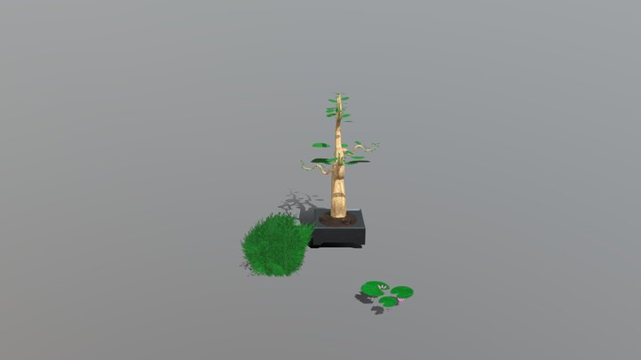 Bonzai 3D models - Sketchfab