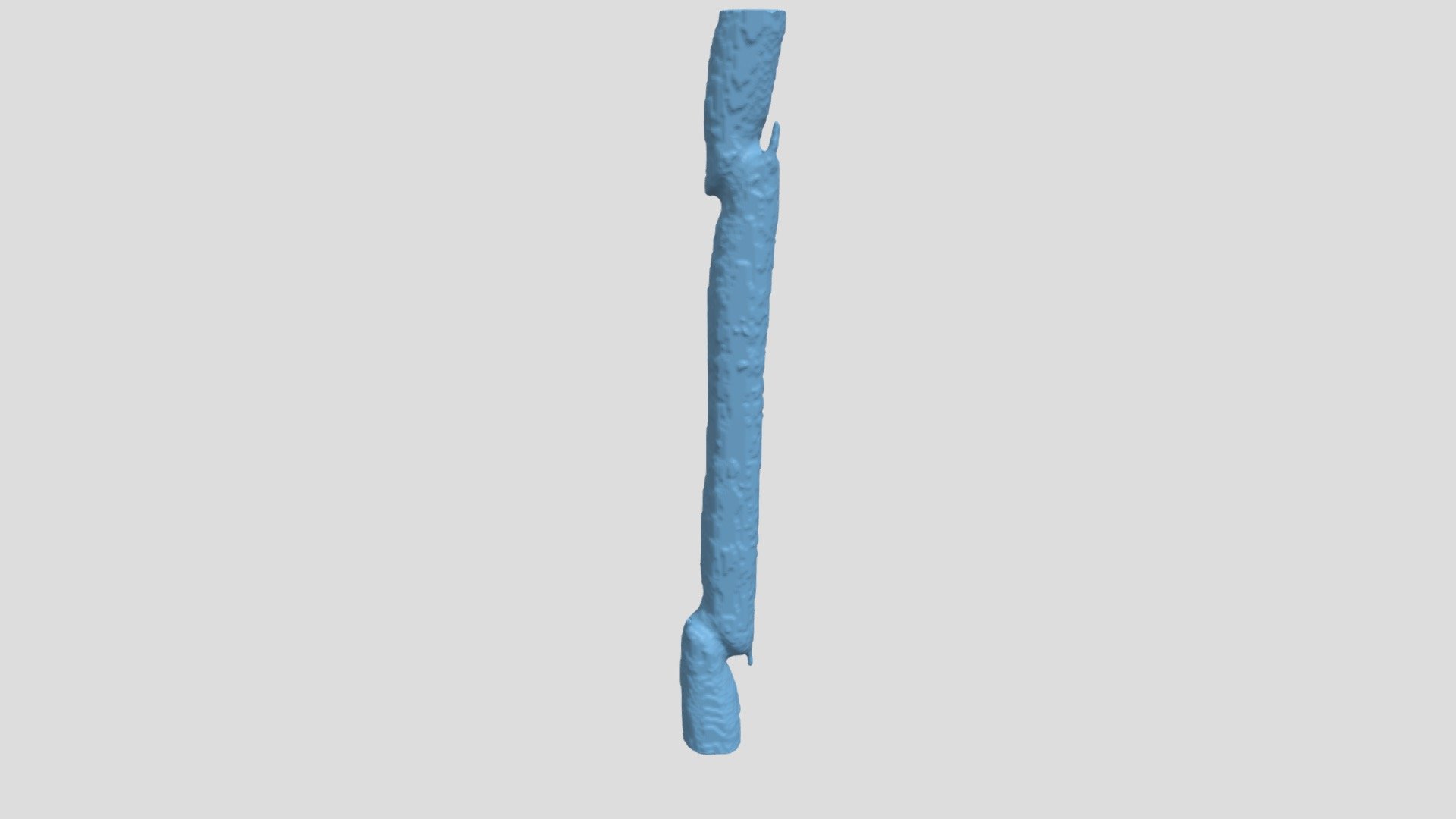 European ash: Latewood vessel - 3D model by Wood Biology & Wood ...