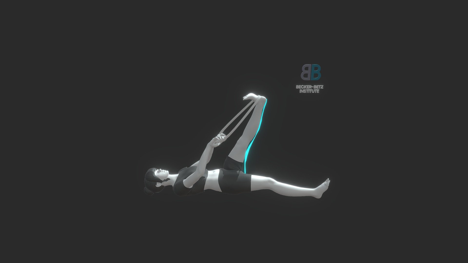 Hamstrings_3_FEMALE - 3D model by BeckerBetz [c72f767] - Sketchfab