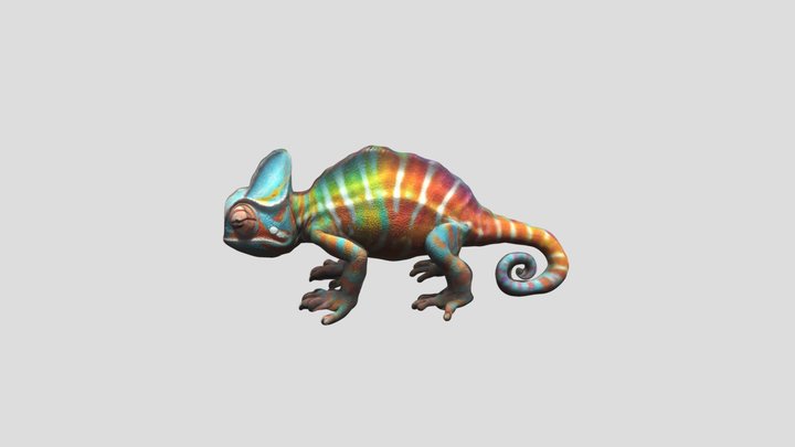 Chameleon 3D models - Sketchfab