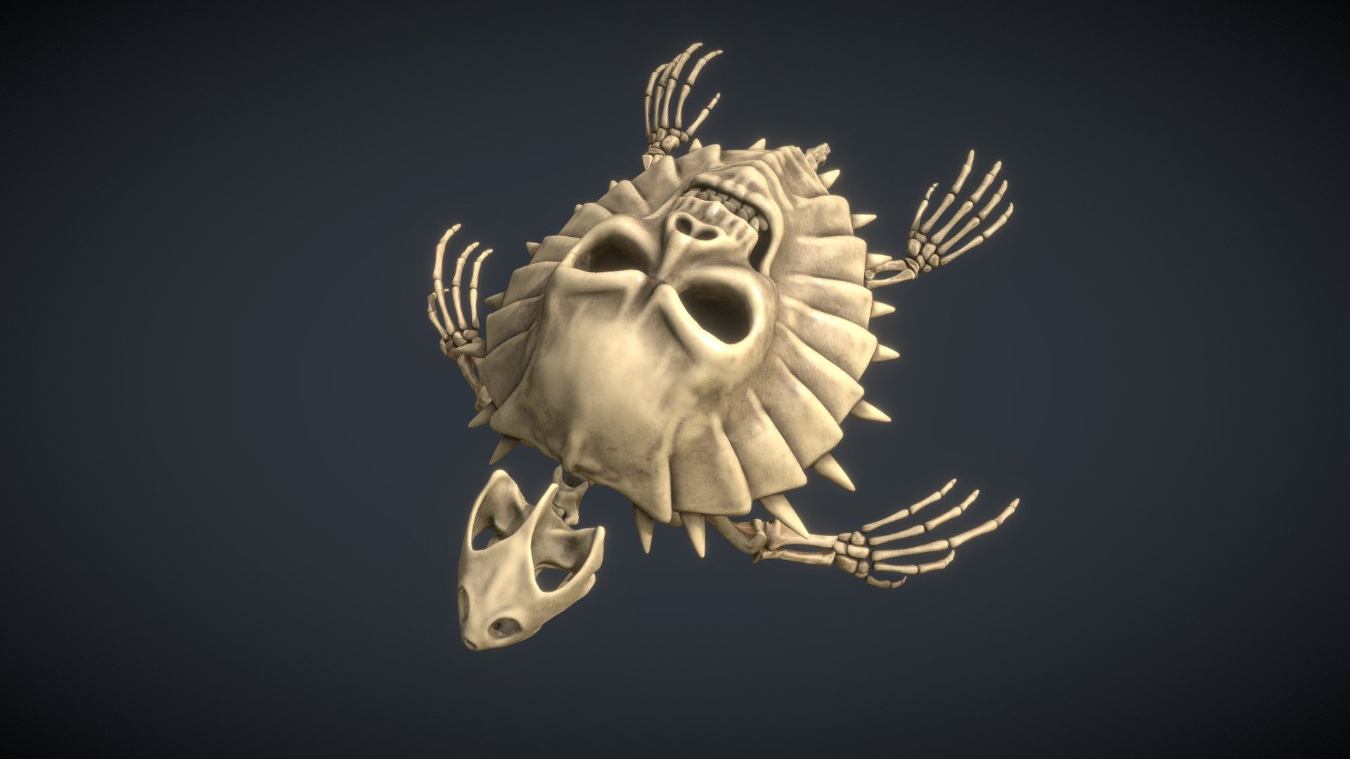 Skeleton Turtle - 3D model by Thomas.Liao [c737179] - Sketchfab