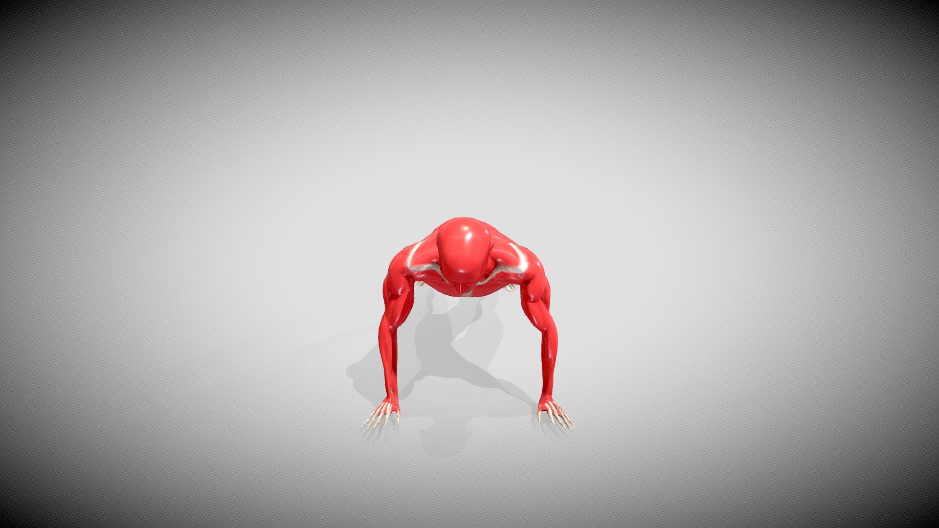 plank guy - 3D model by Npulford [c74e0af] - Sketchfab