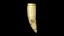 Predynastic Carved Ivory Tusk, Petrie Museum - Download Free 3D model ...