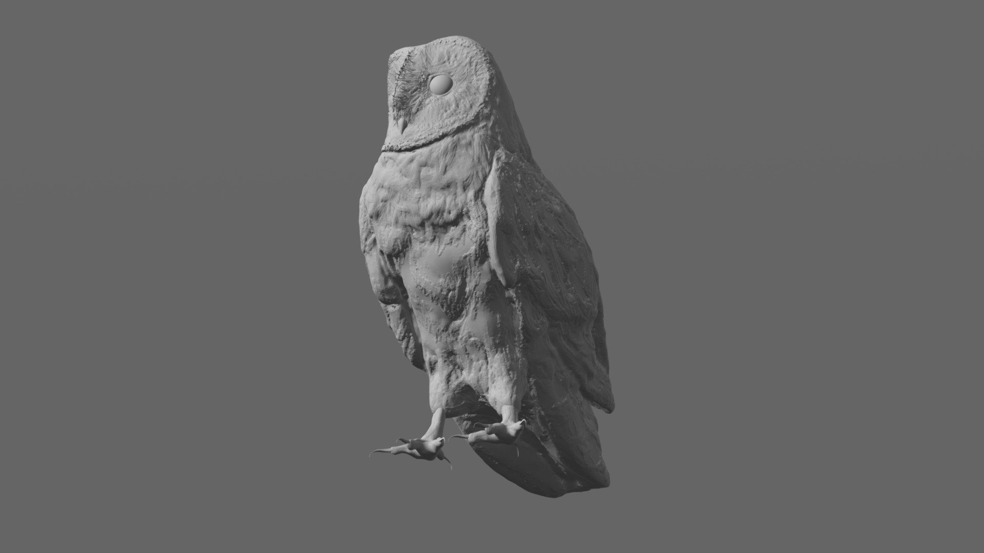 Barn Owl - 3D model by madisonnevil [c758b97] - Sketchfab