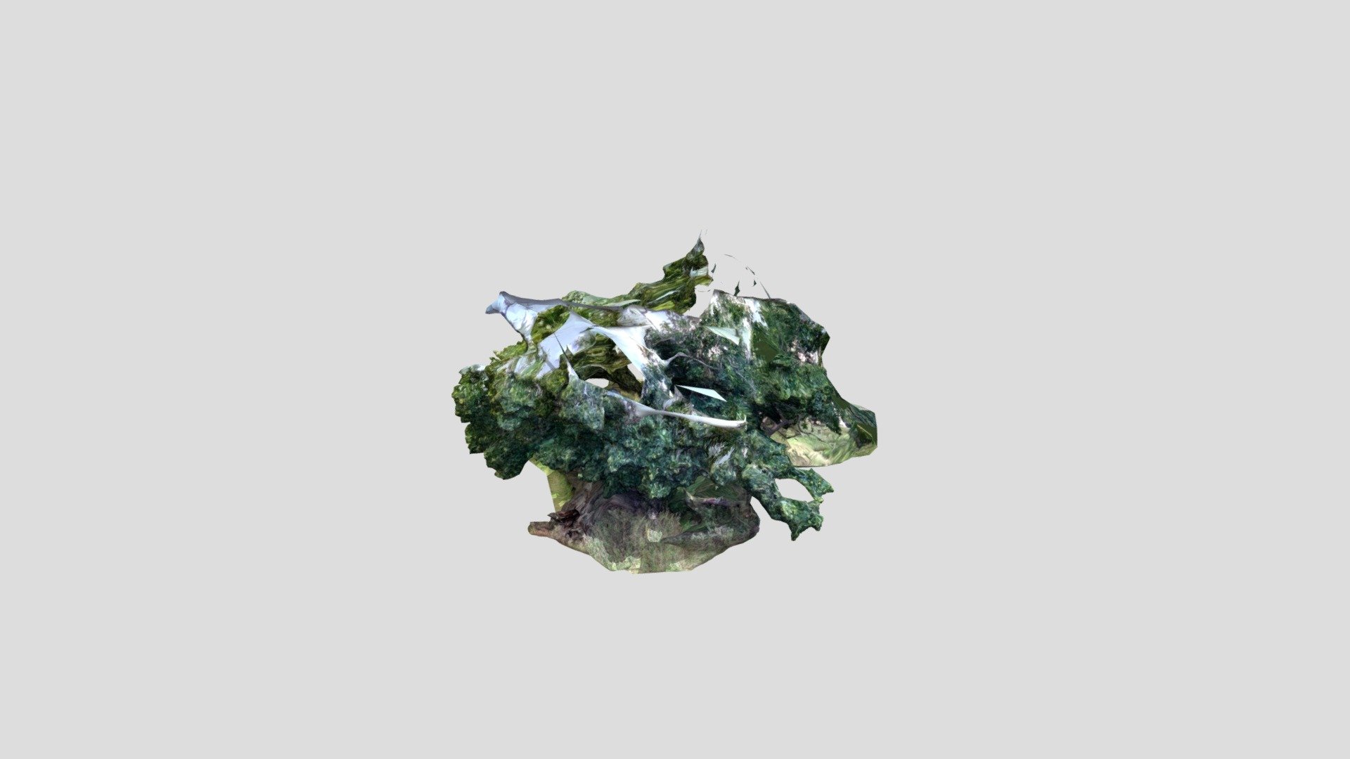 MIST TREE - Download Free 3D model by Breakeytech1 (@mbreakey) [c75ccdd ...