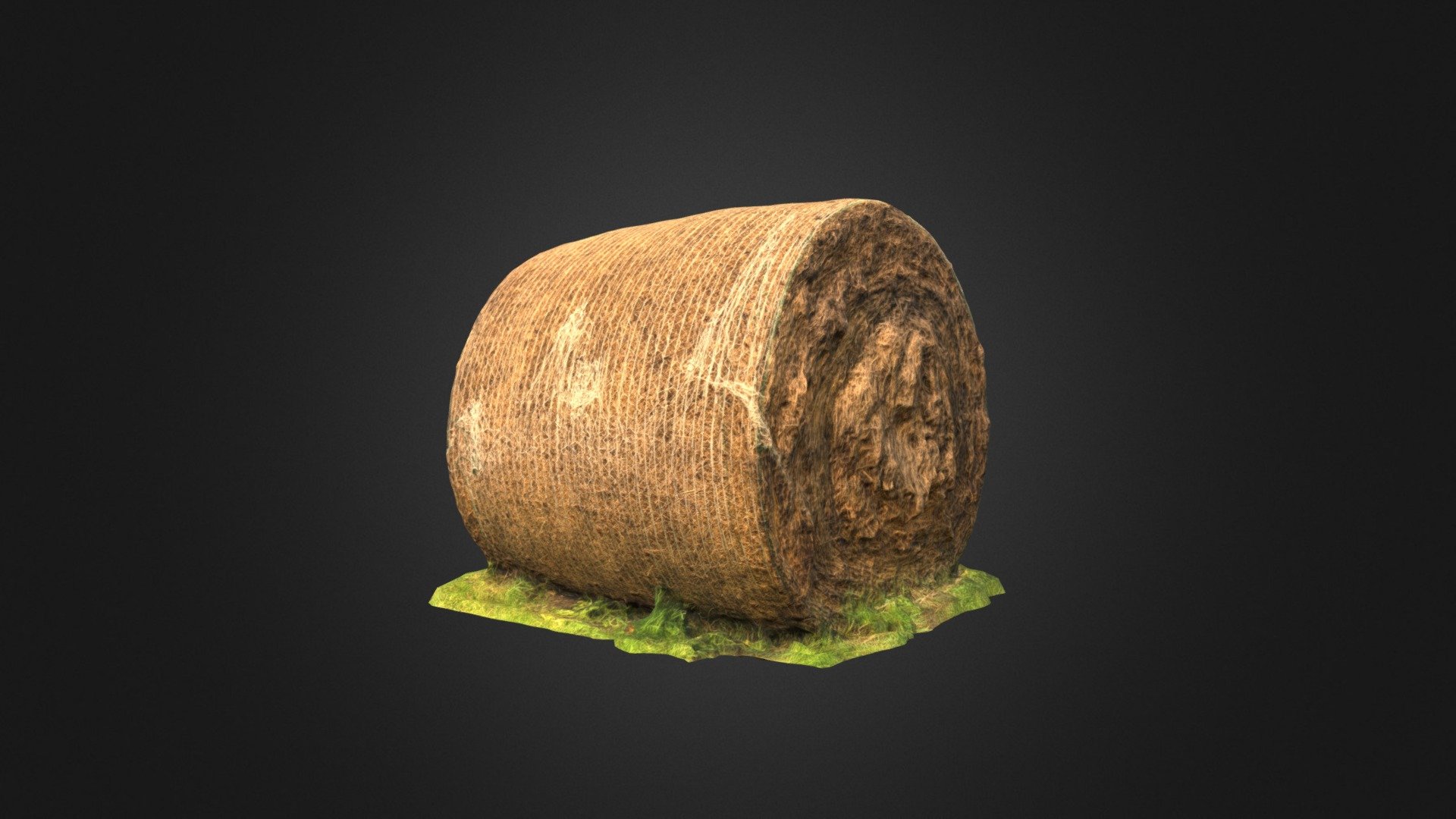 Round Pack Of Hay - Buy Royalty Free 3D model by Jakub Badin ...