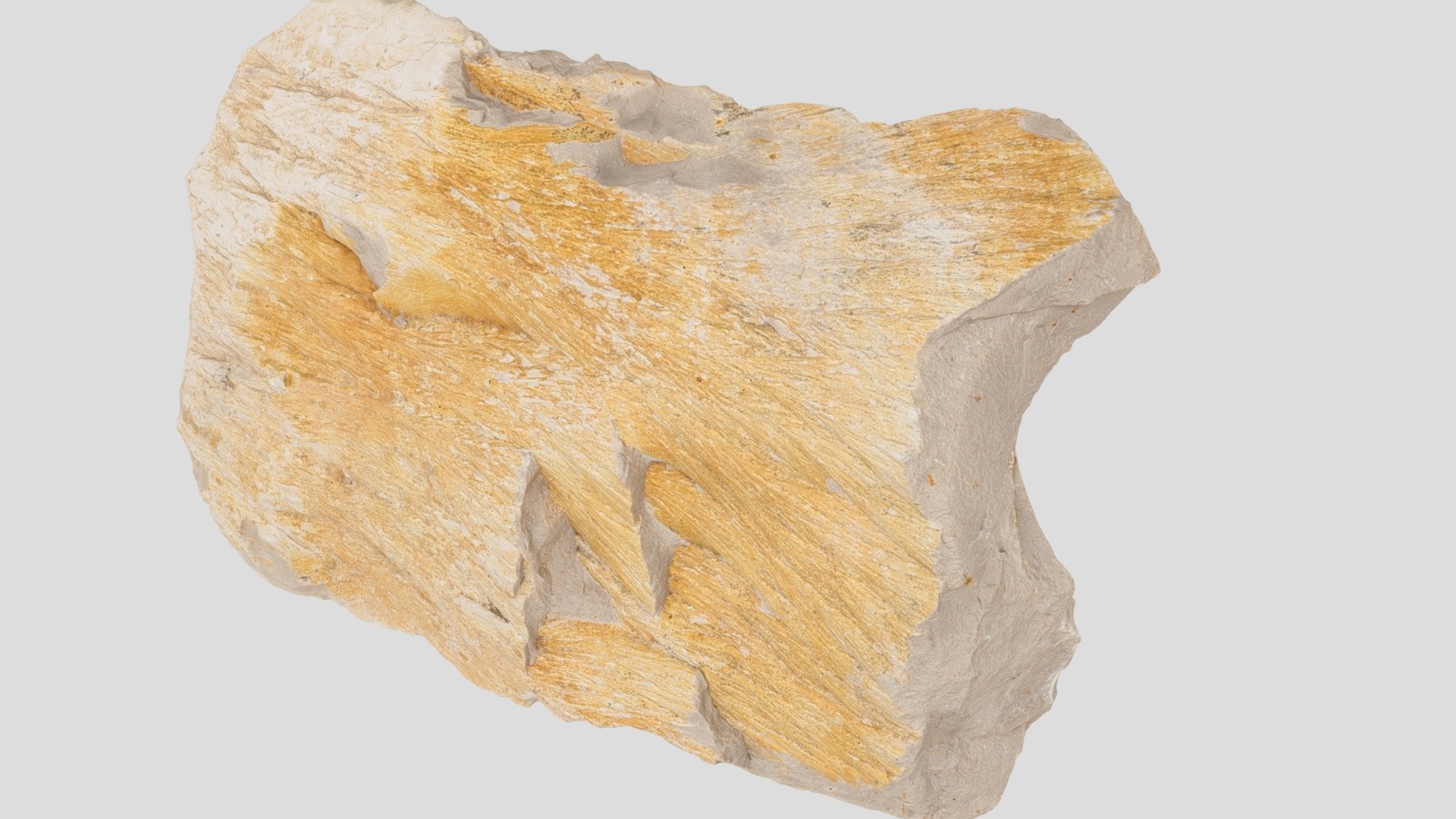 New Jena specimen No 8 - Download Free 3D model by Marko Vrabec (@okram ...