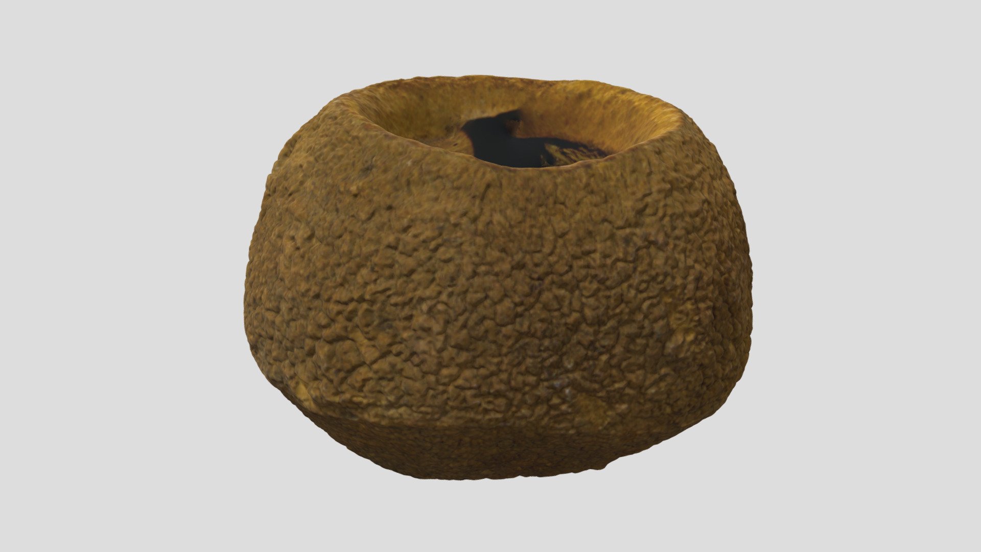 Sapucaja nut case - 3D model by Aberdeen City Libraries ...