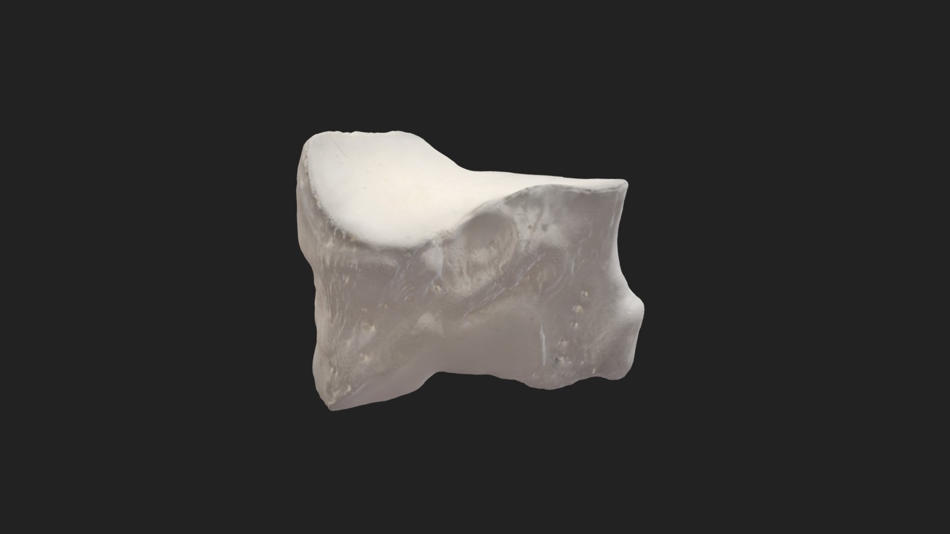 3rd tarsal bone (os tarsale tertium) dog - Download Free 3D model by ...