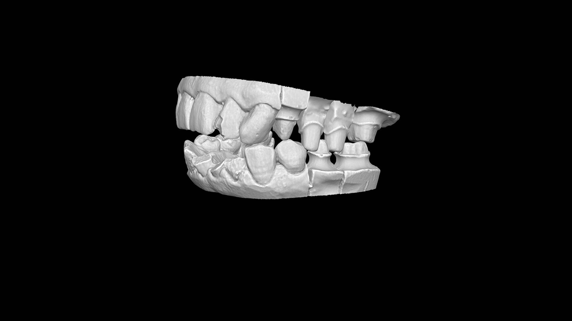 Bite - Download Free 3D model by Thunk3D [c78544b] - Sketchfab