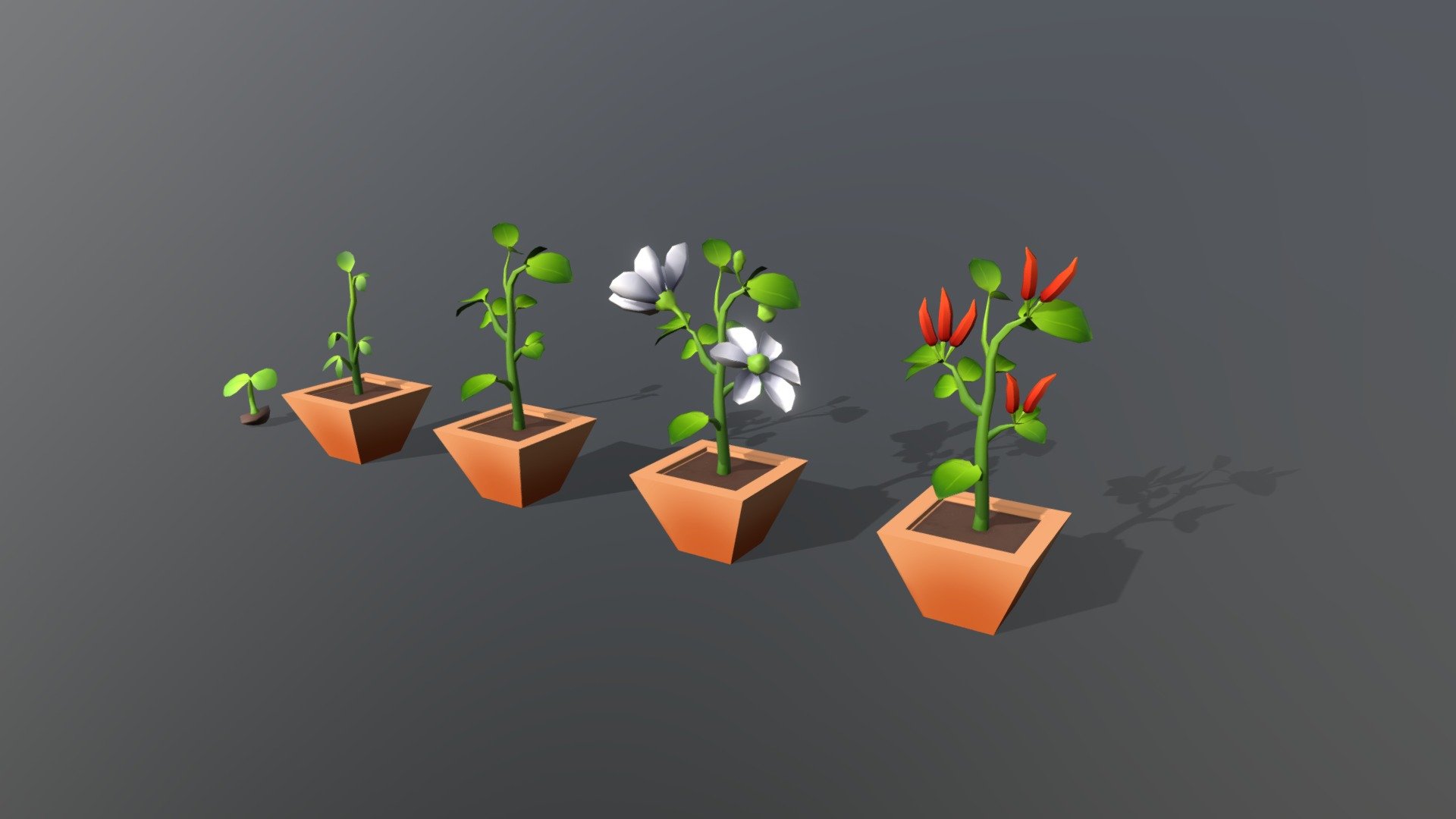 LowPoly_Chili - 3D model by sawerfox [c79aabb] - Sketchfab