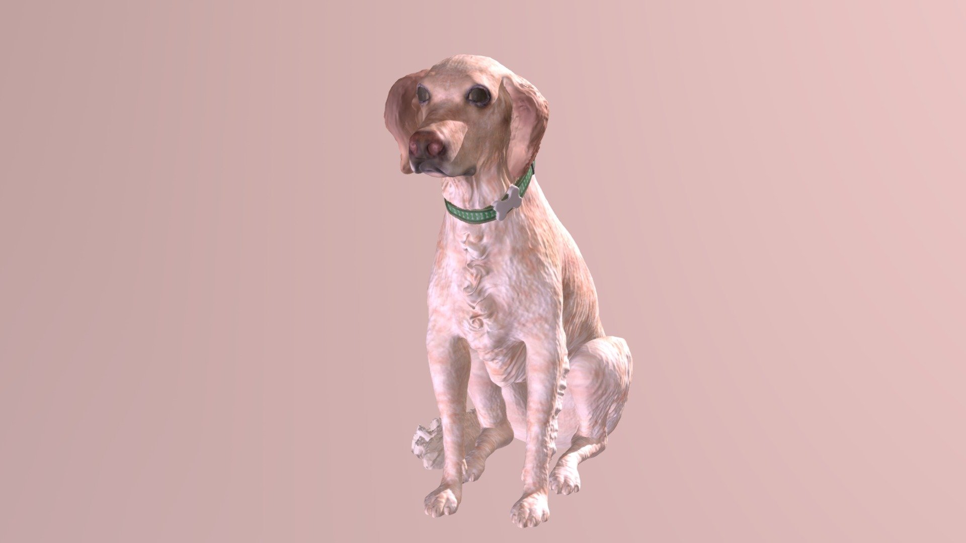 1905001- Bella- English Setter - 3D model by Arty Lobster - Pet ...