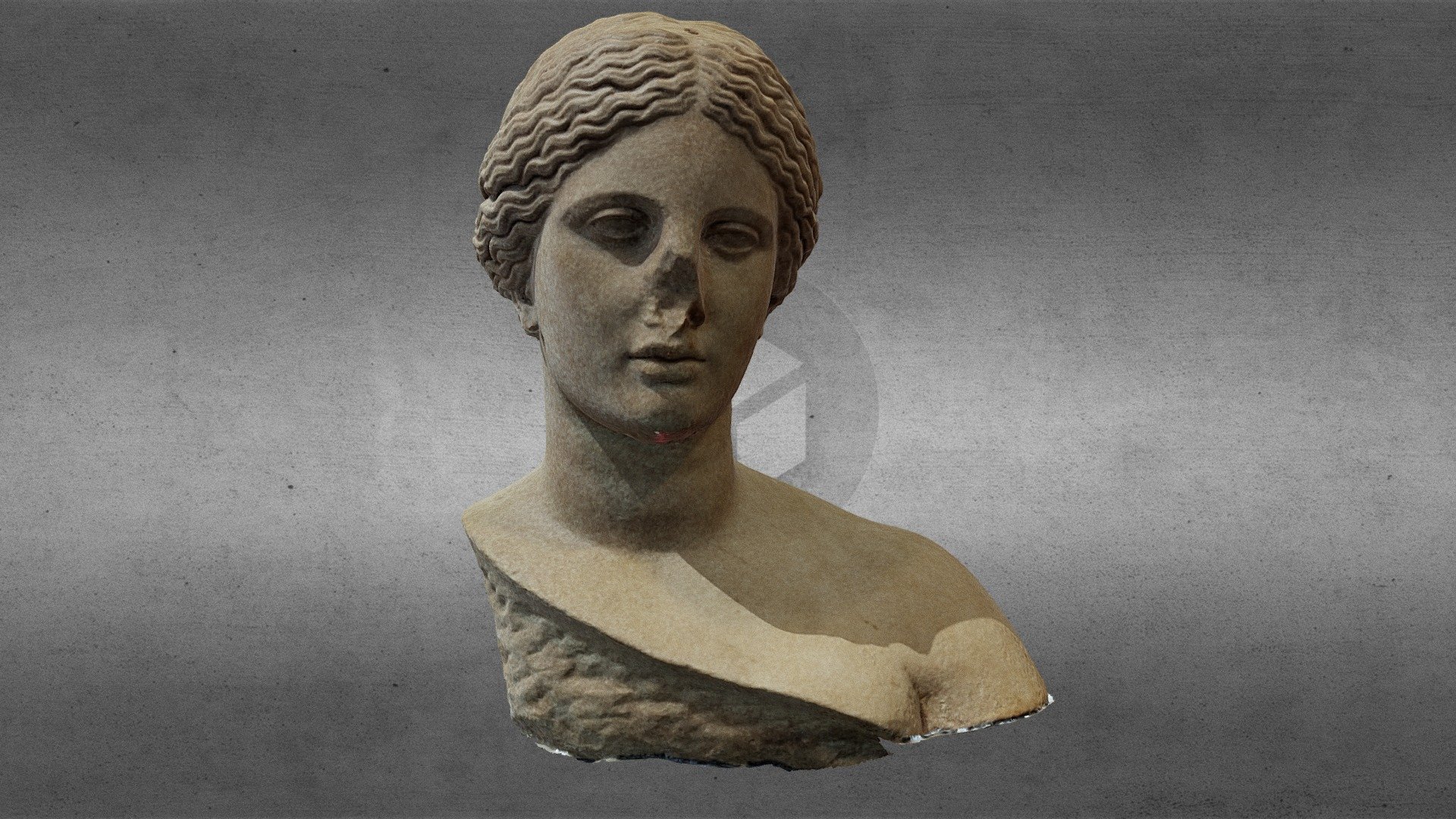 Bust Of Venus Generatrix From Musée De Arles 3d Model By